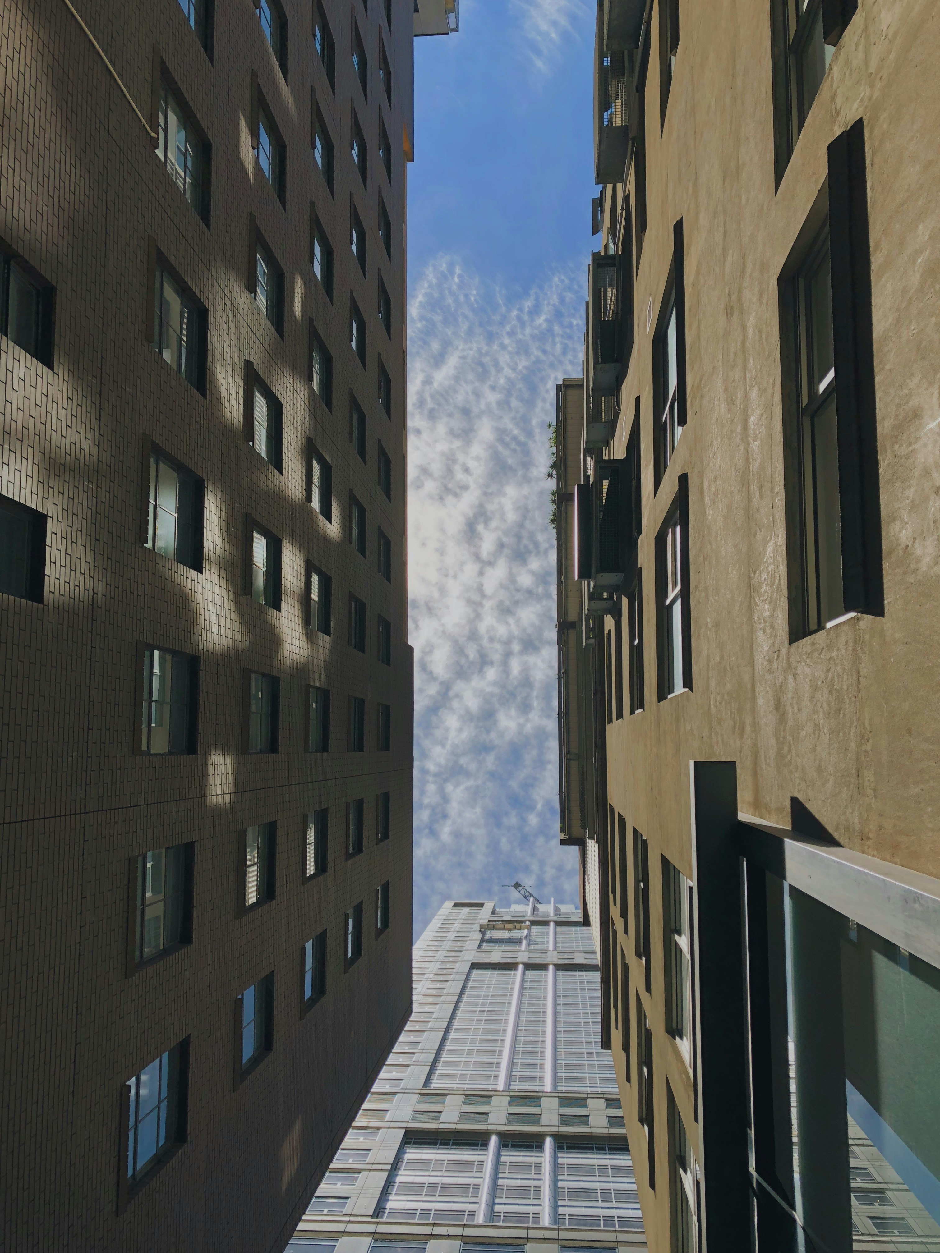 Sample photo from Apple iPhone 8