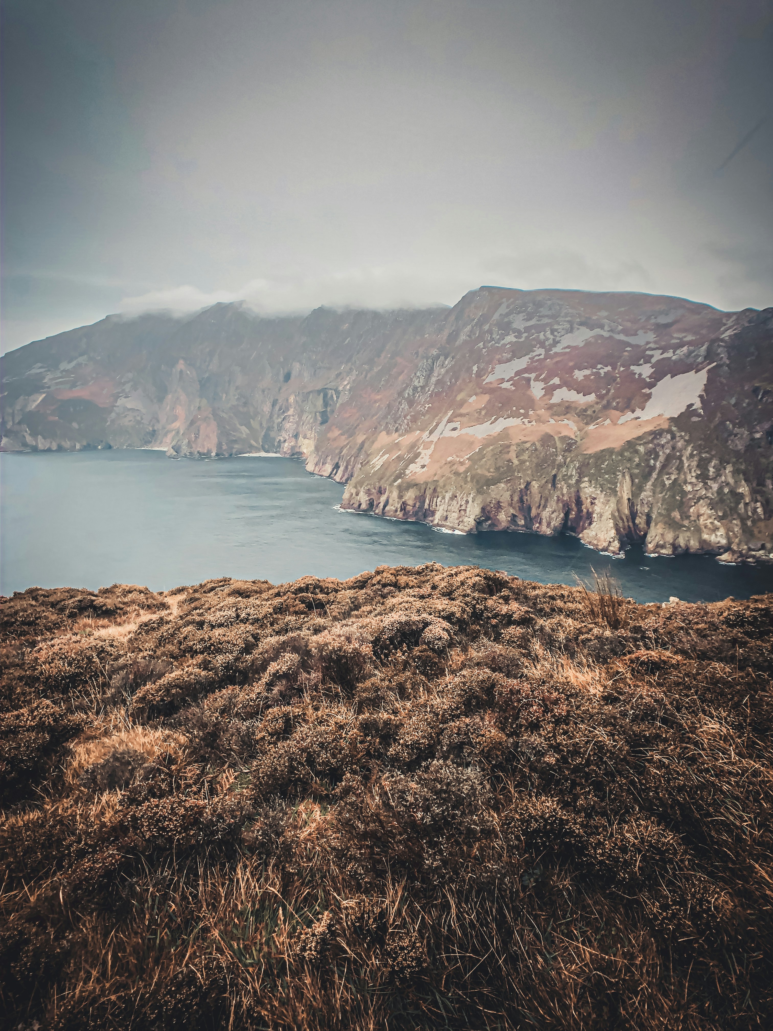 Lush coastal landscape featuring rugged cliffs meeting a serene sea under a moody sky. The foreground is adorned with textured grass and heather.