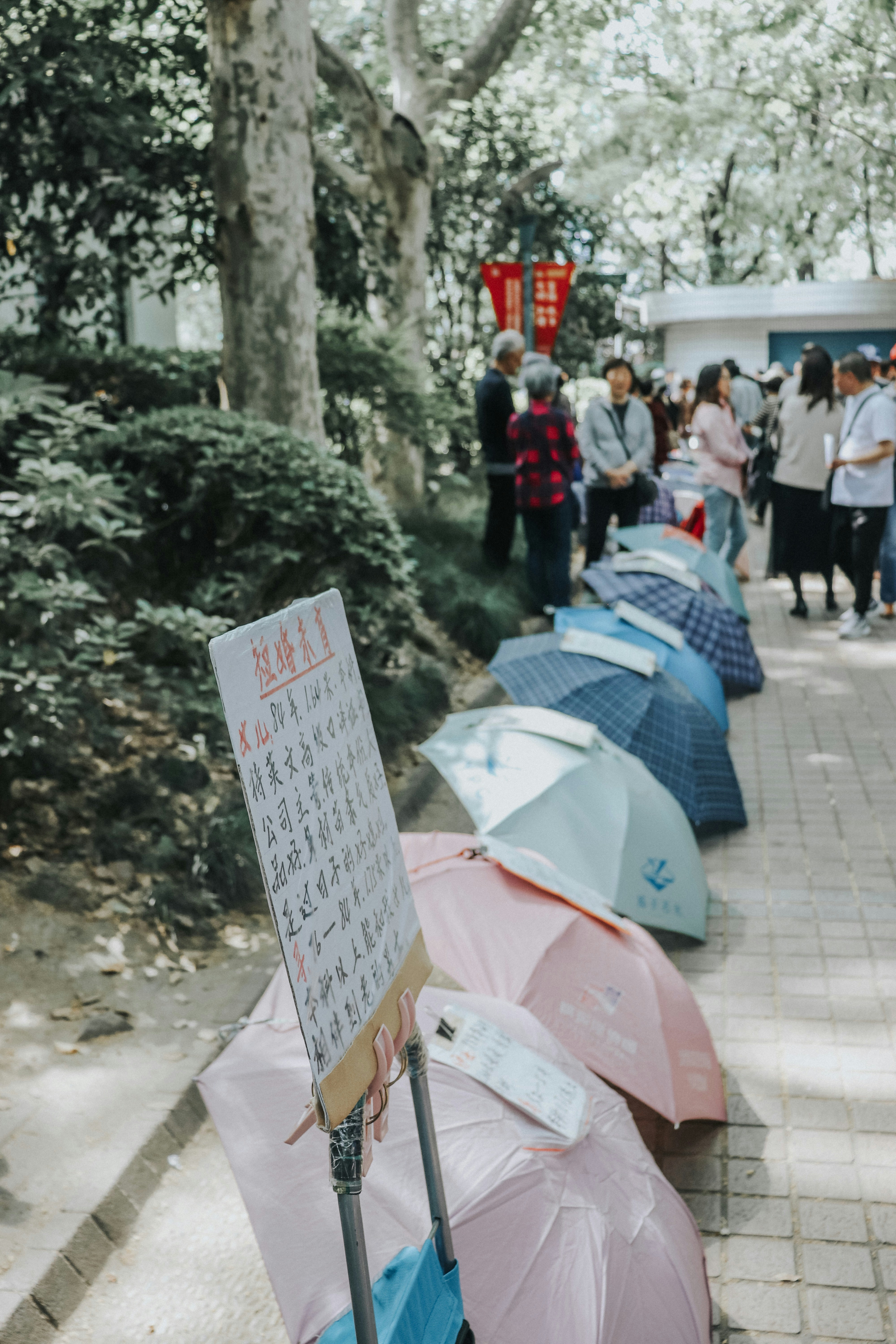 Umbrella Row and a Sign: A Street Scene of Quiet Curiosity