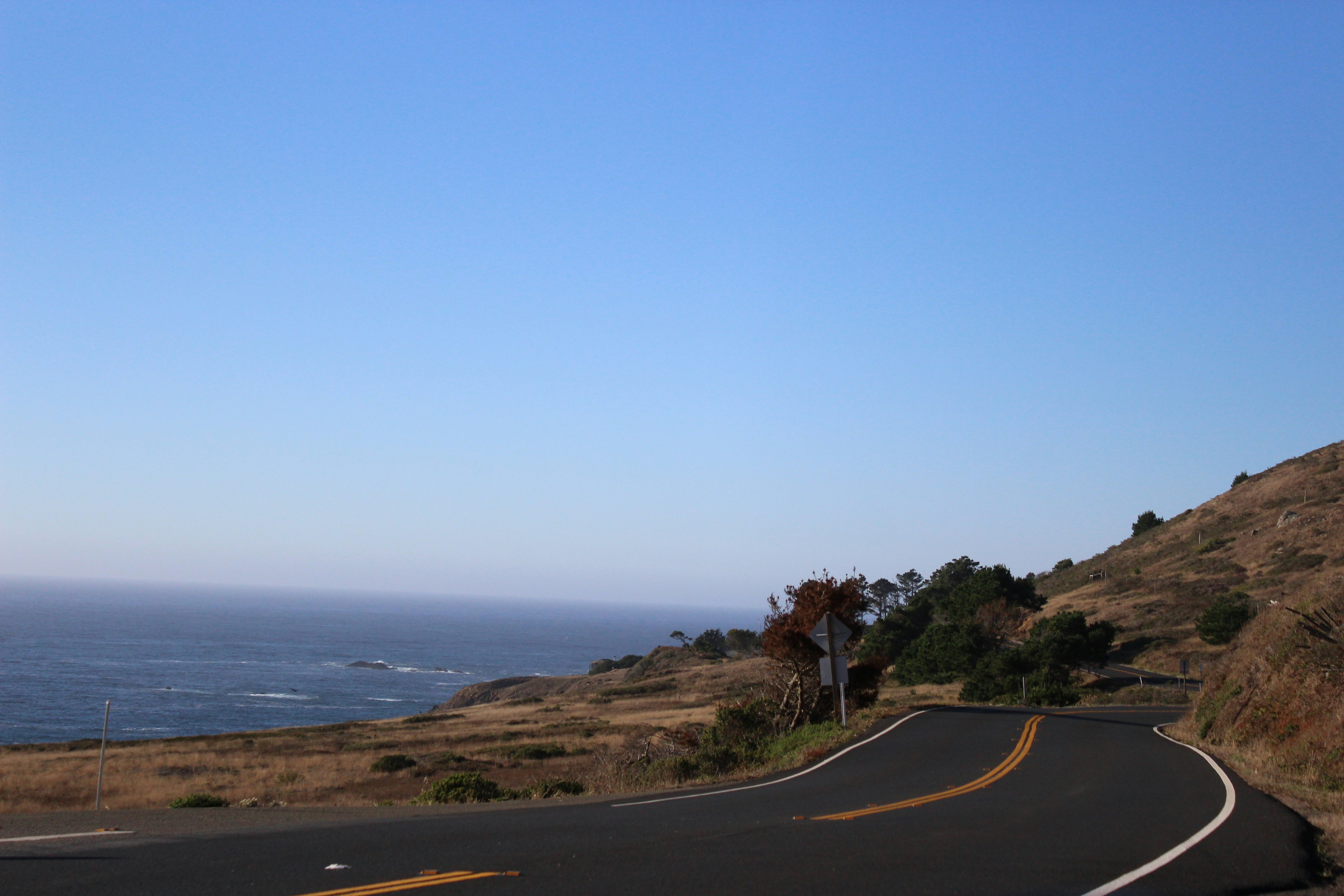 Curving road alongside a serene coastline, framed by gentle hills and sparse vegetation.