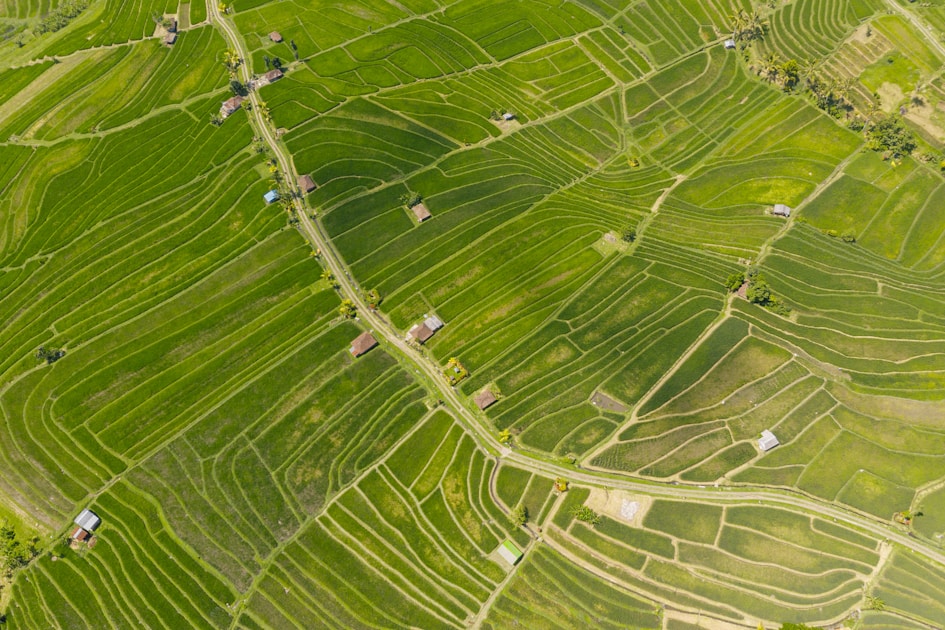 NSW Land Tax Thresholds & Entity Structures: What Property Owners Need ...