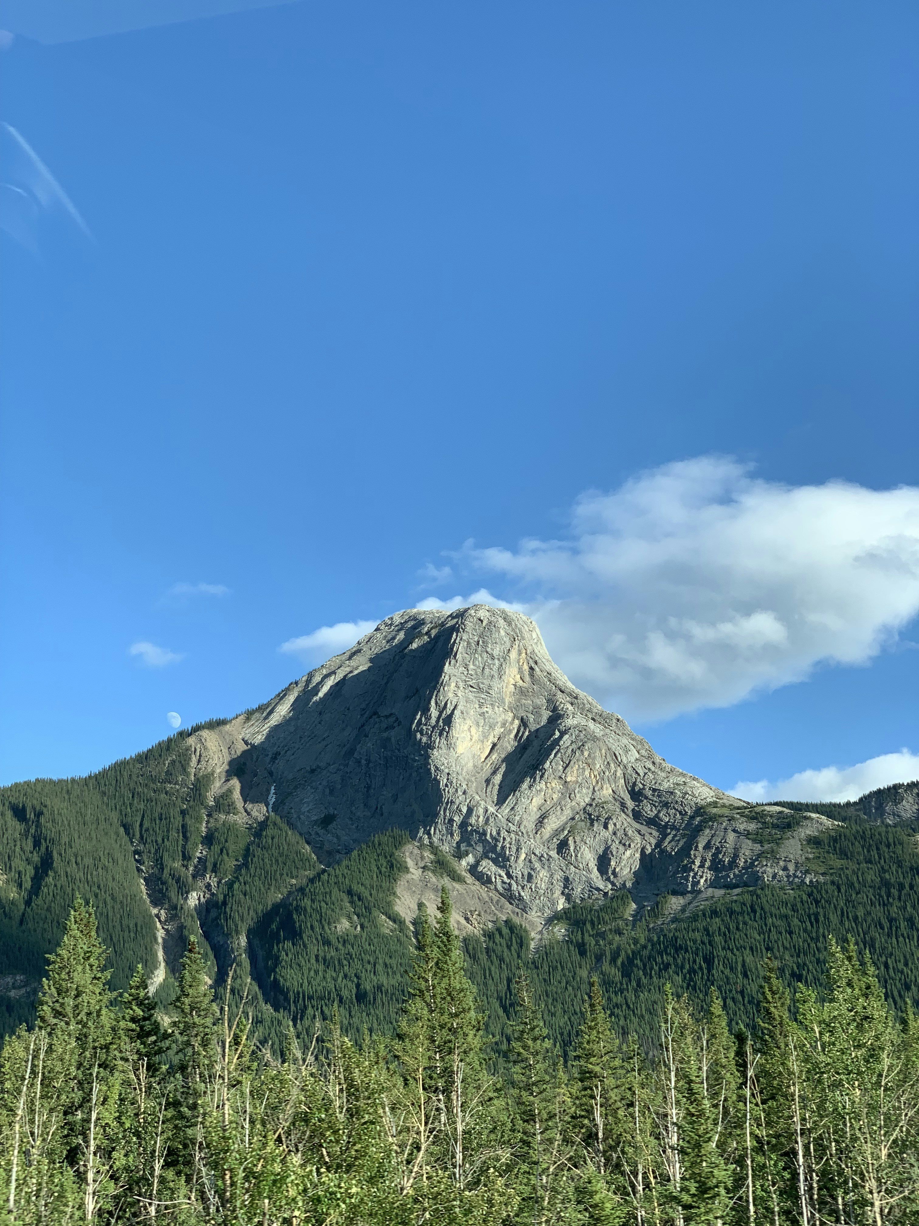 A rugged mountain peak rises against a clear blue sky, framed by lush green forests below. The scene captures the grandeur of nature's formations.