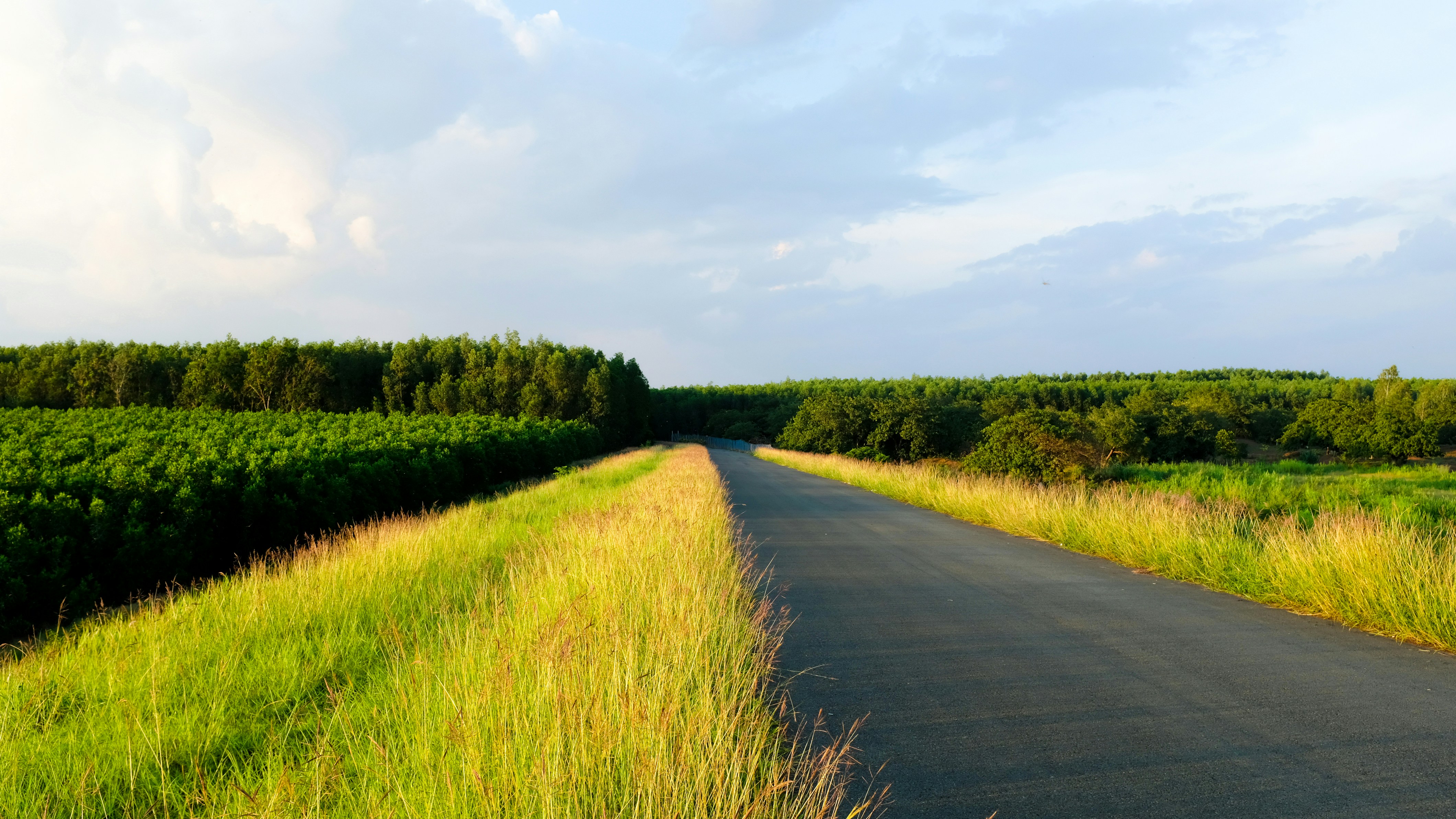 Gray asphalt road between green grass field under blue sky during daytime photo – Free Road ...