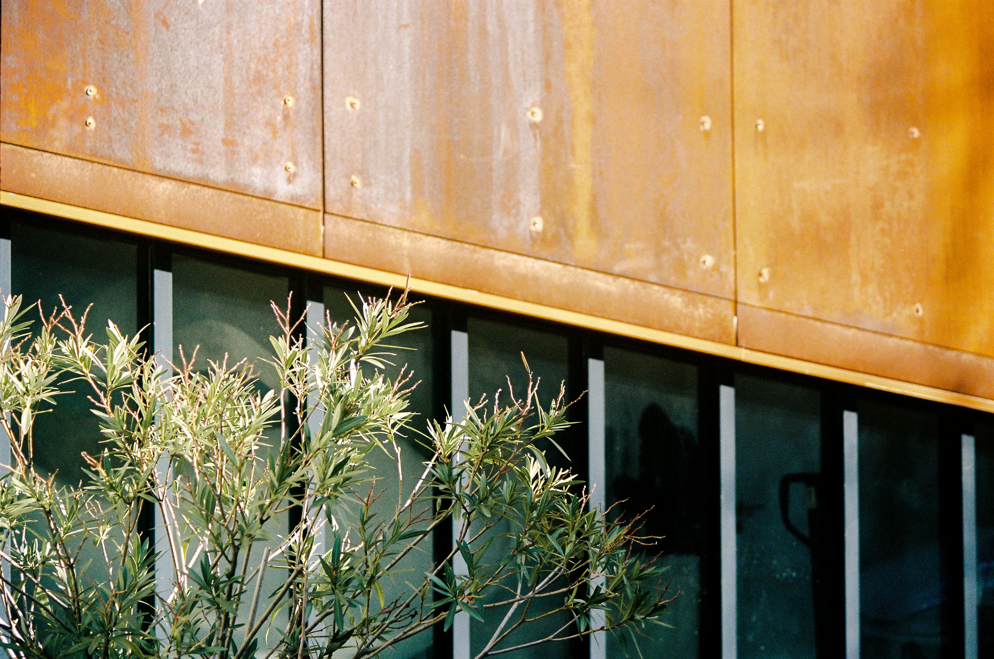 Olive branches sit in the foreground against a rusted metal facade with dark-framed windows, creating a contrast between greenery and industrial texture.