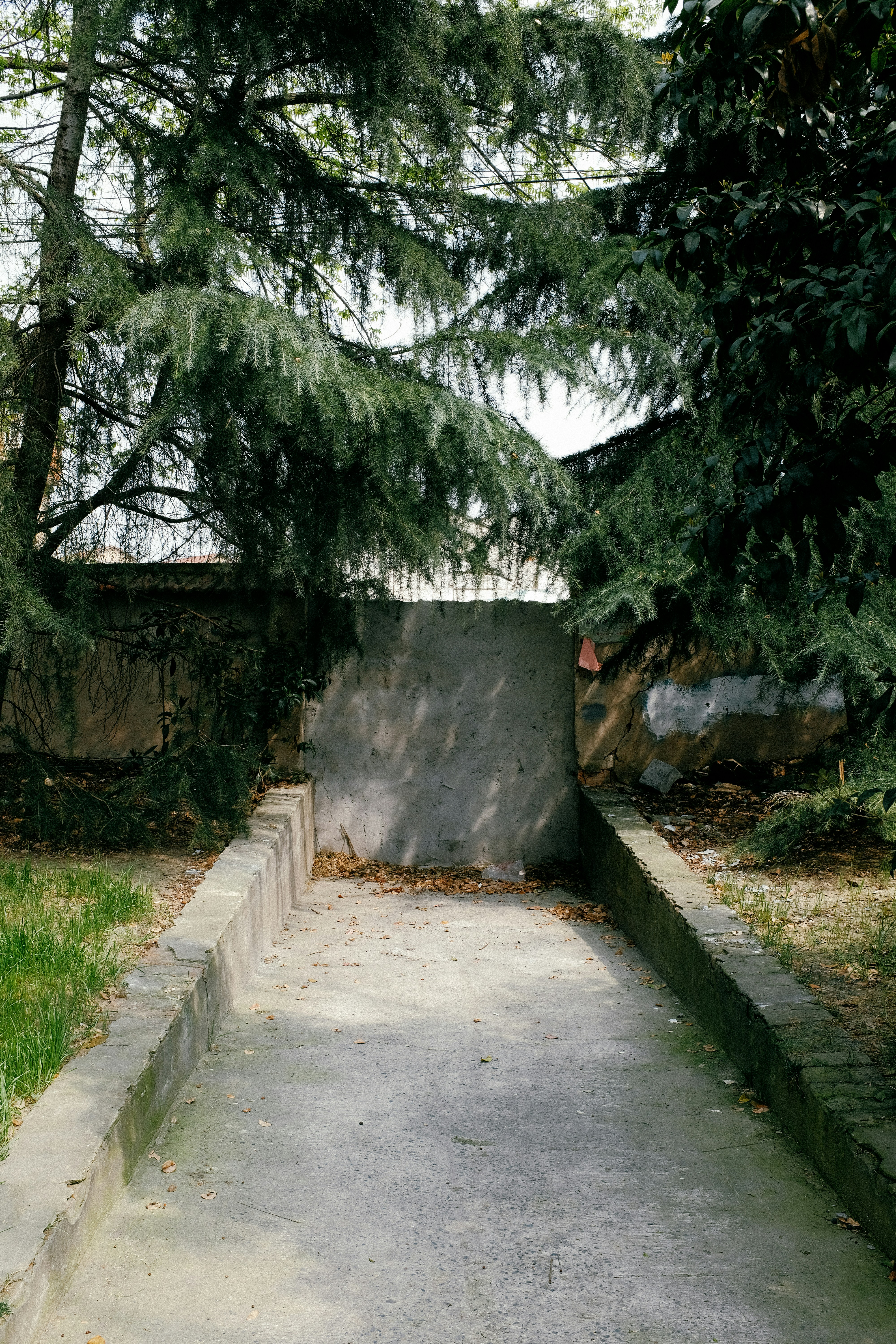 Gray concrete pathway between green grass and trees during daytime ...