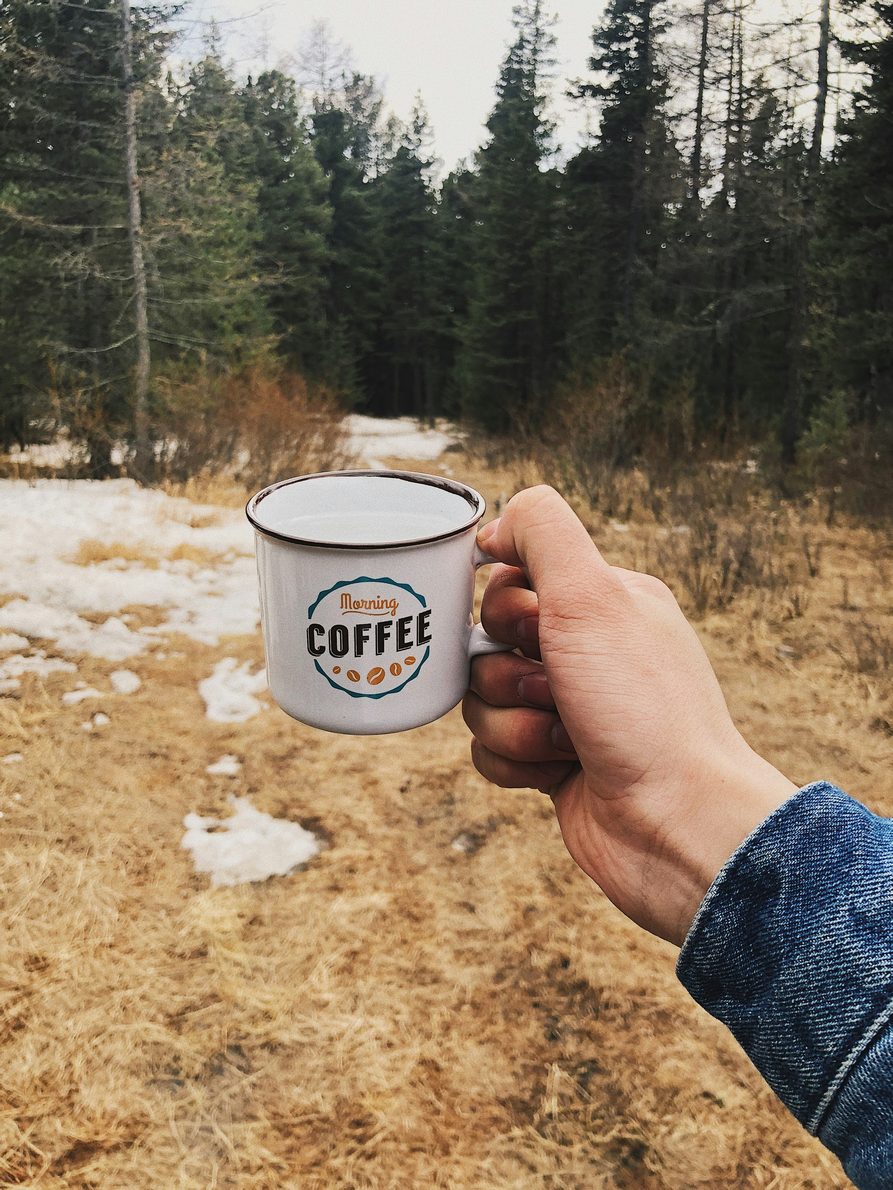 Morning Coffee Between Snow-Dusted Pines