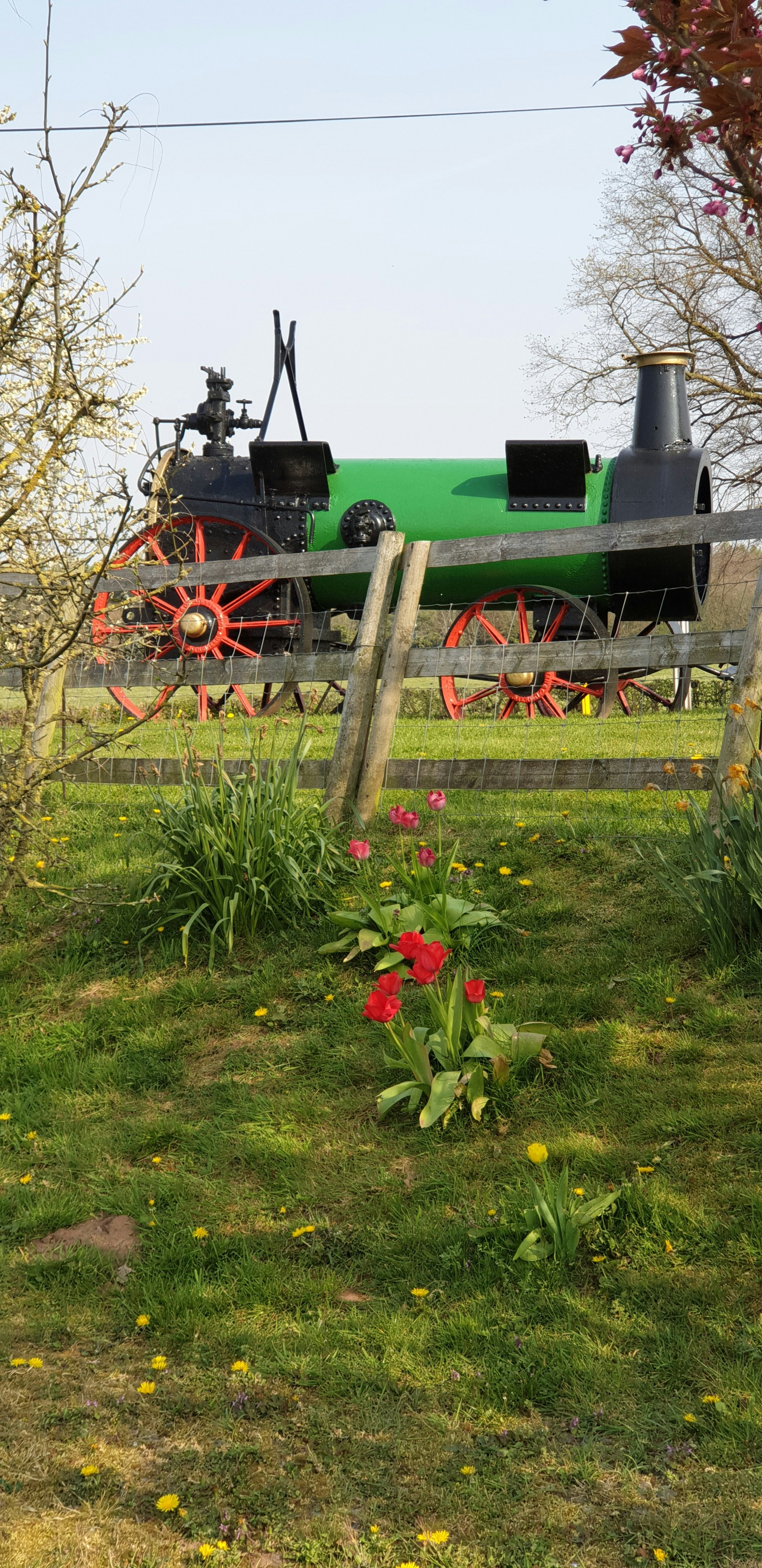 The Green Engine Beyond the Fence: Garden Steam Scene