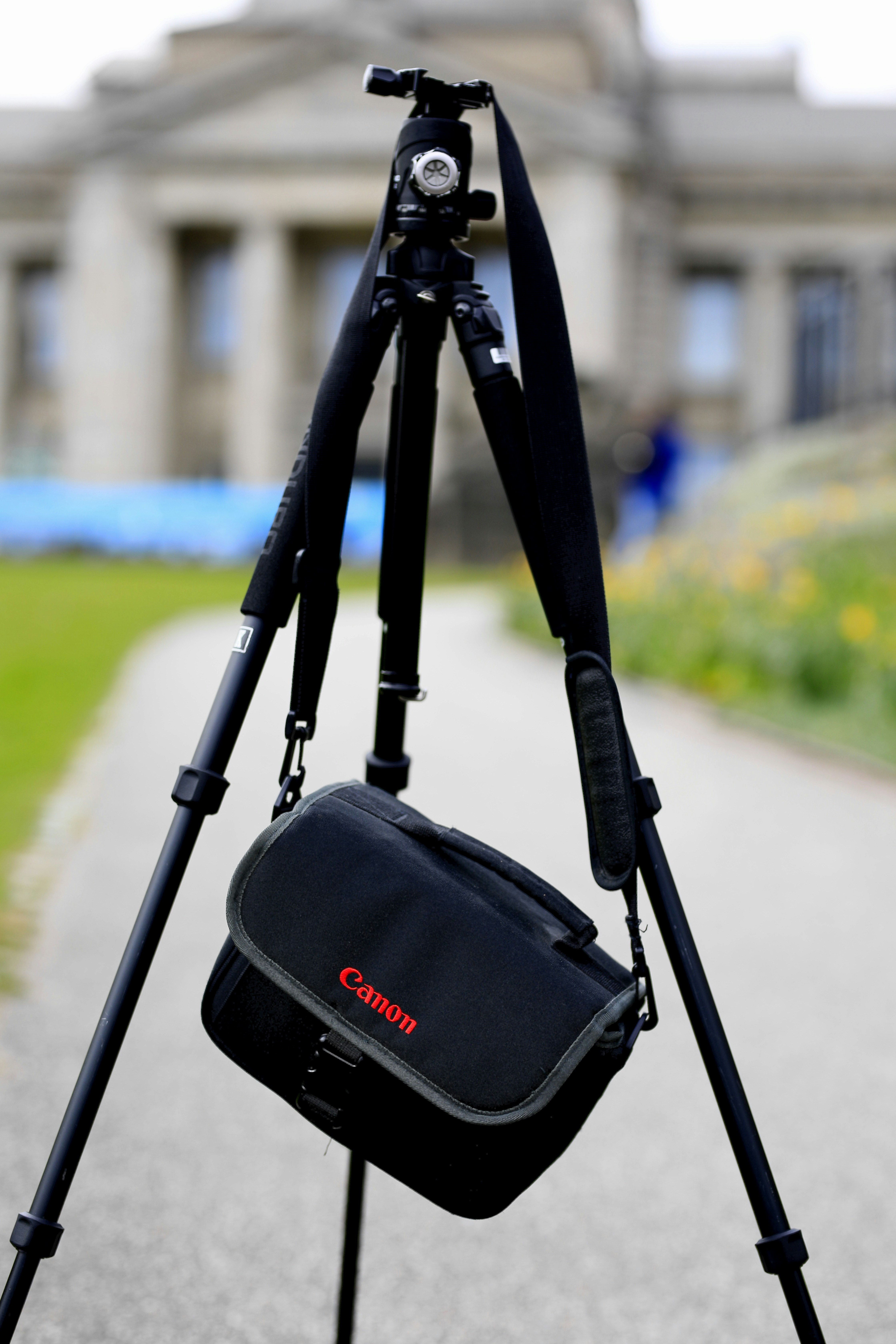 Tripod Sentinel: Canon Gear Framed Before a Beaux-Arts Backdrop