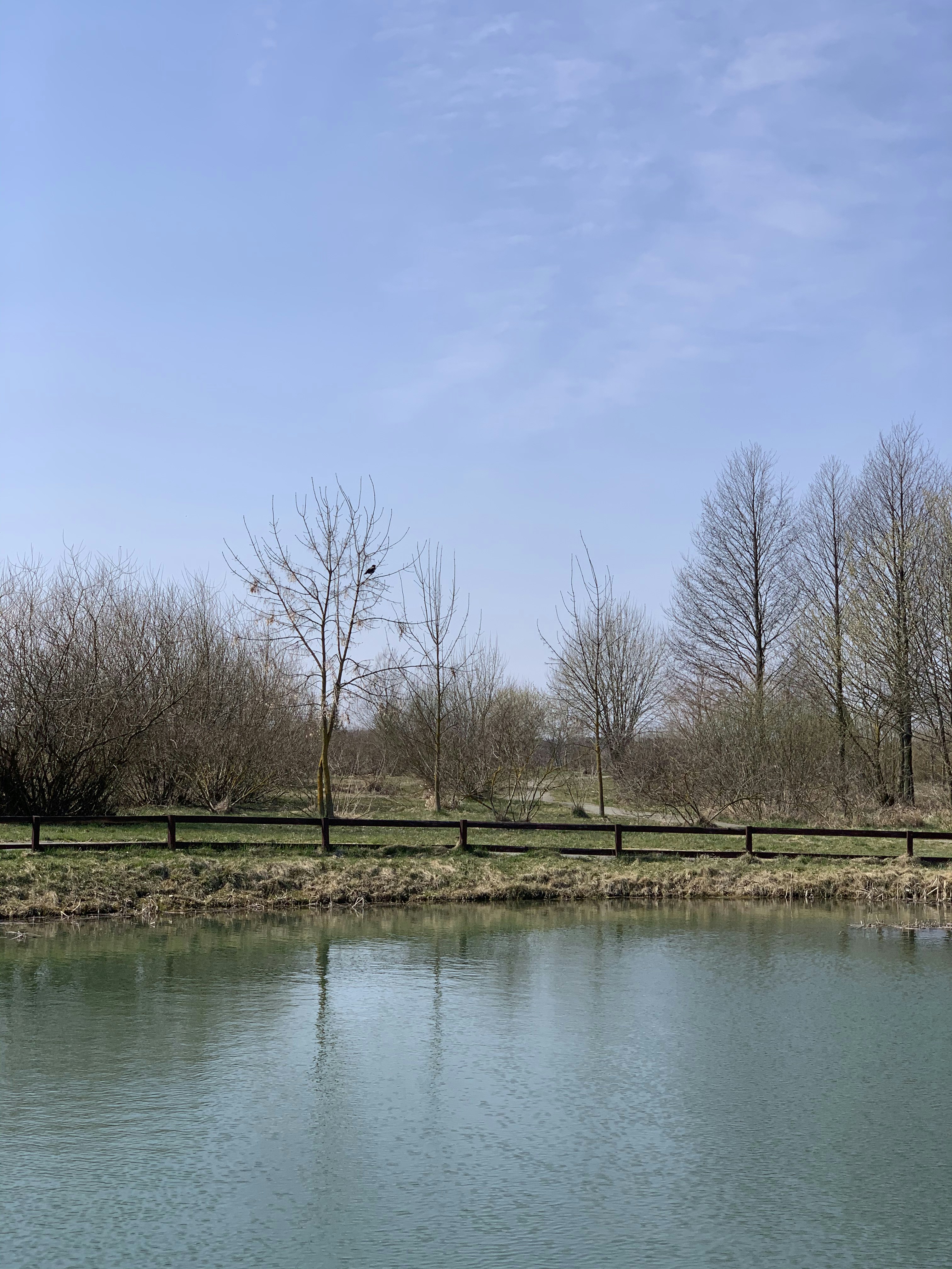 Calm pond reflecting the clear blue sky and surrounding trees, with a rustic wooden fence lining the shore.