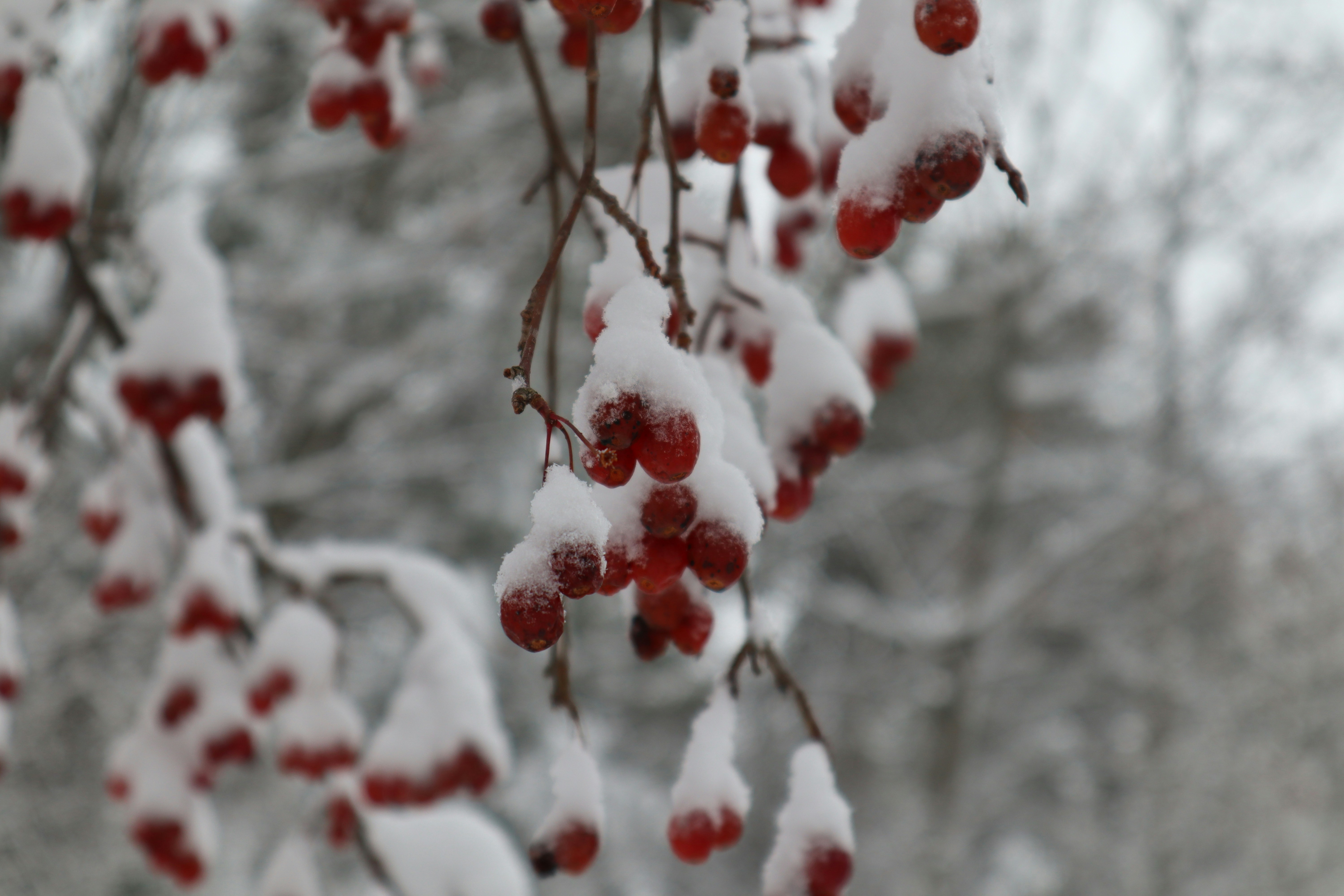 Elijah Boisvert (@elijahboisvert) | Unsplashフォトコミュニティ