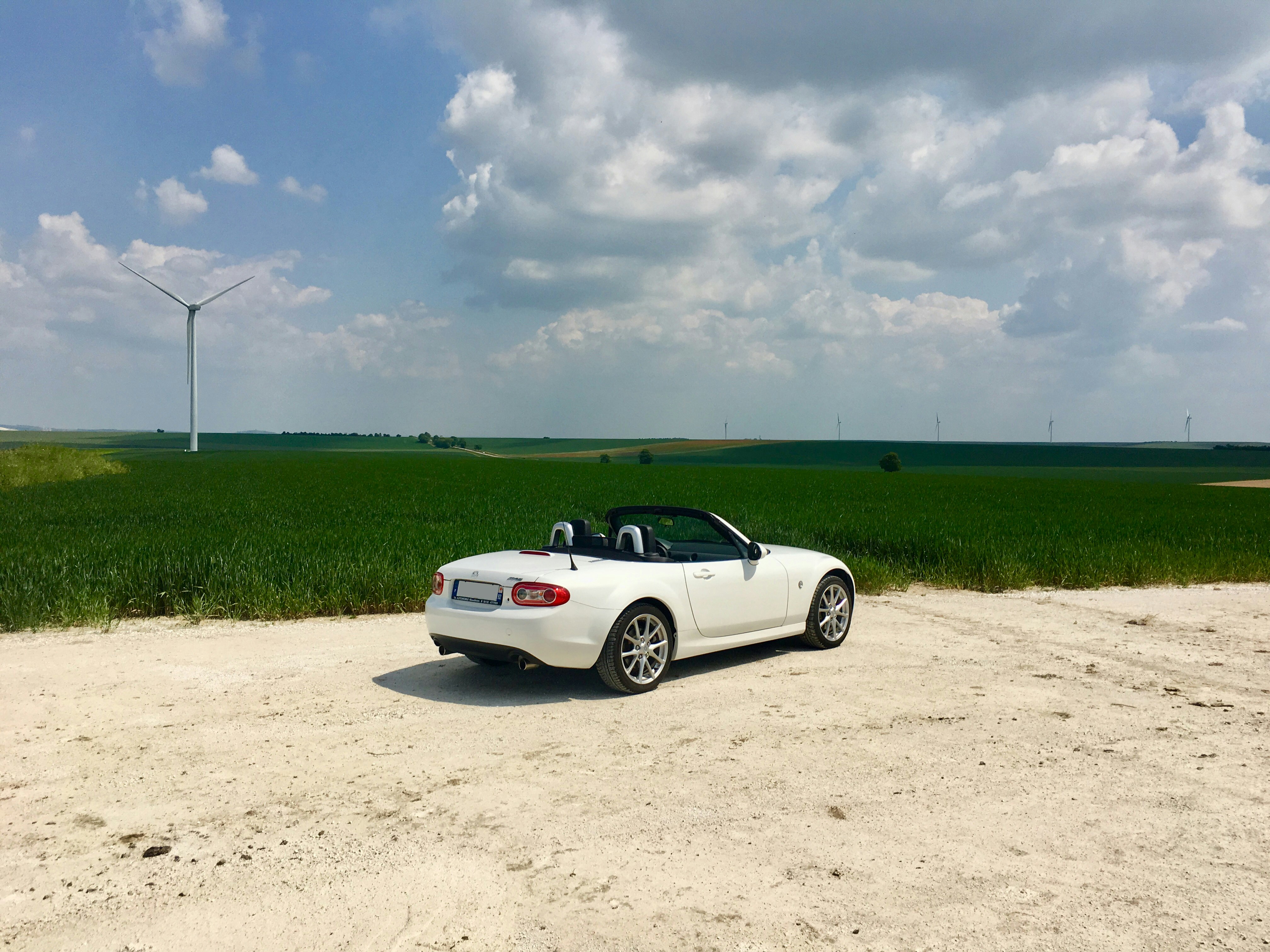 White Convertible at the Edge of a Green Plain