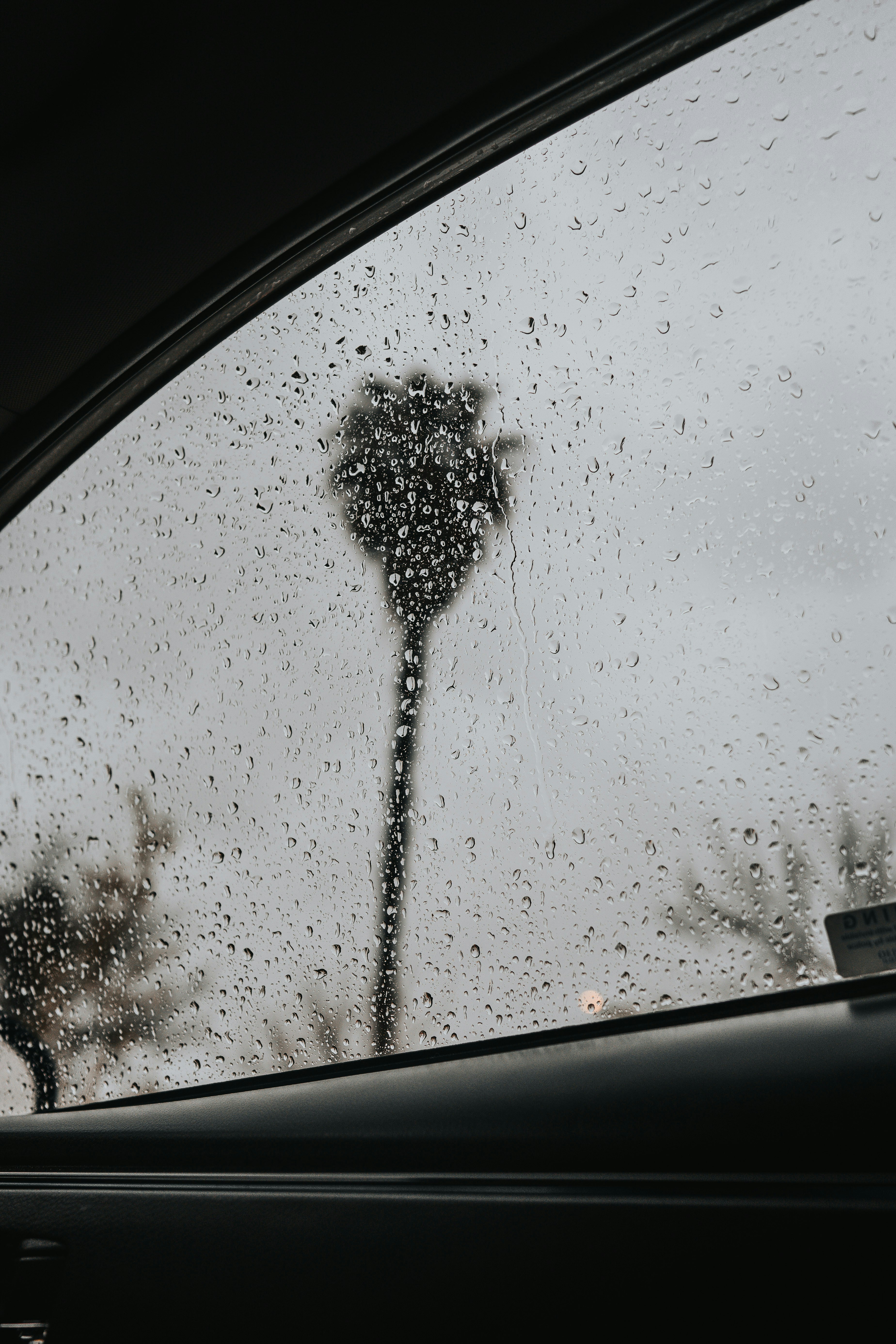 water droplets on glass window