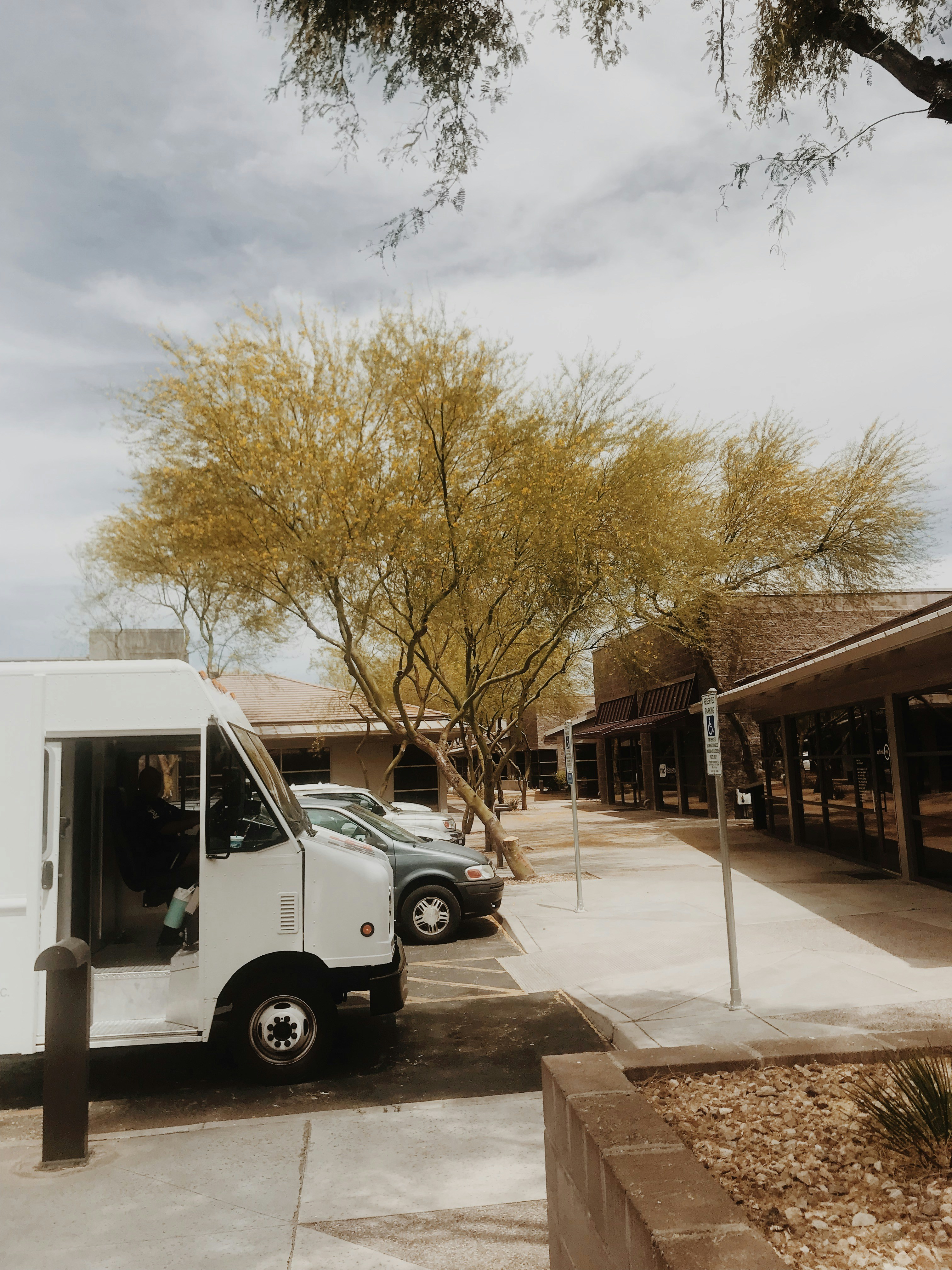 Sunlit Courtyard Contrasts: White Van Beneath Golden Canopy Trees