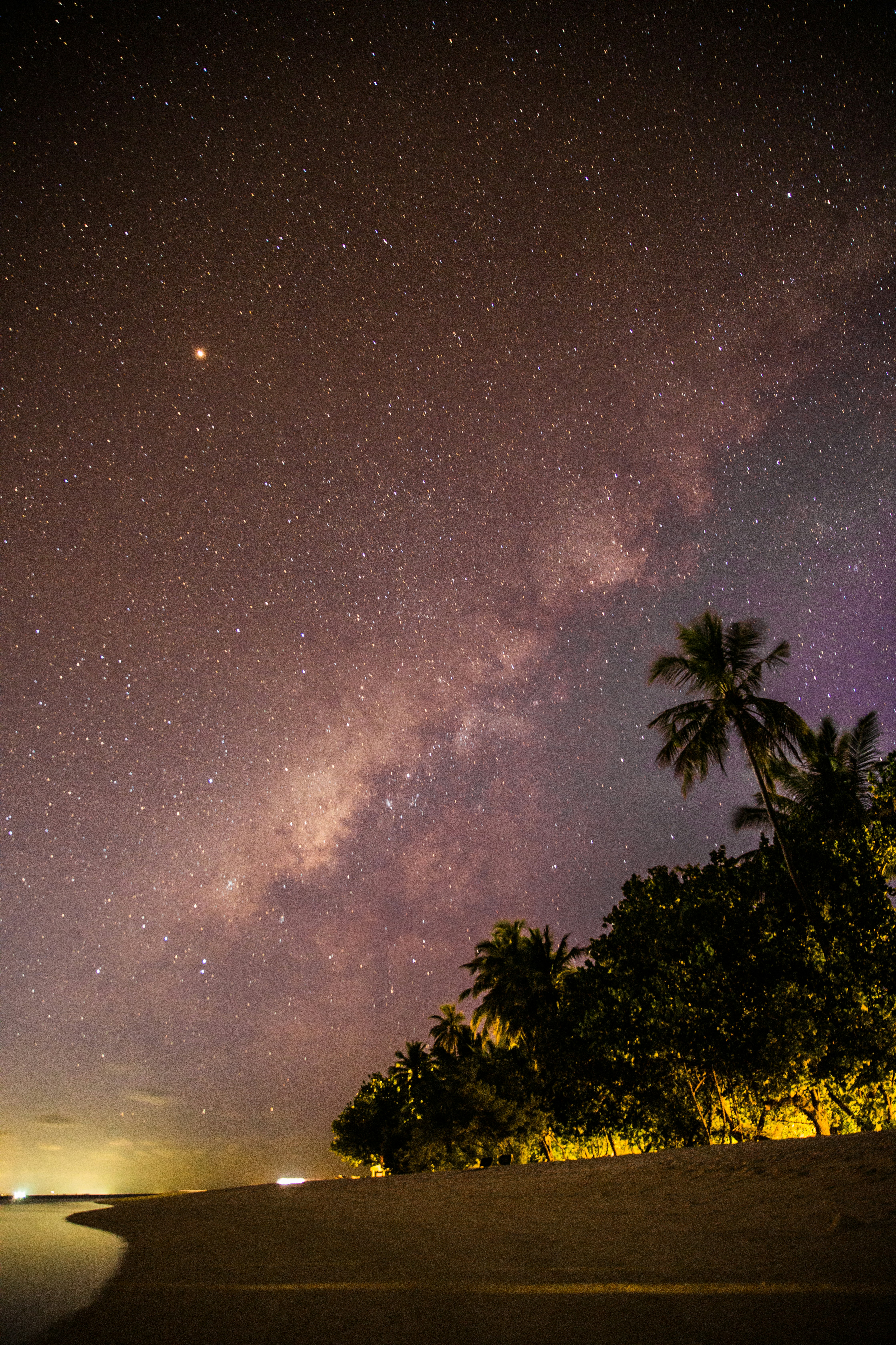 Milky Way Arc Over a Palm-Fringed Shore