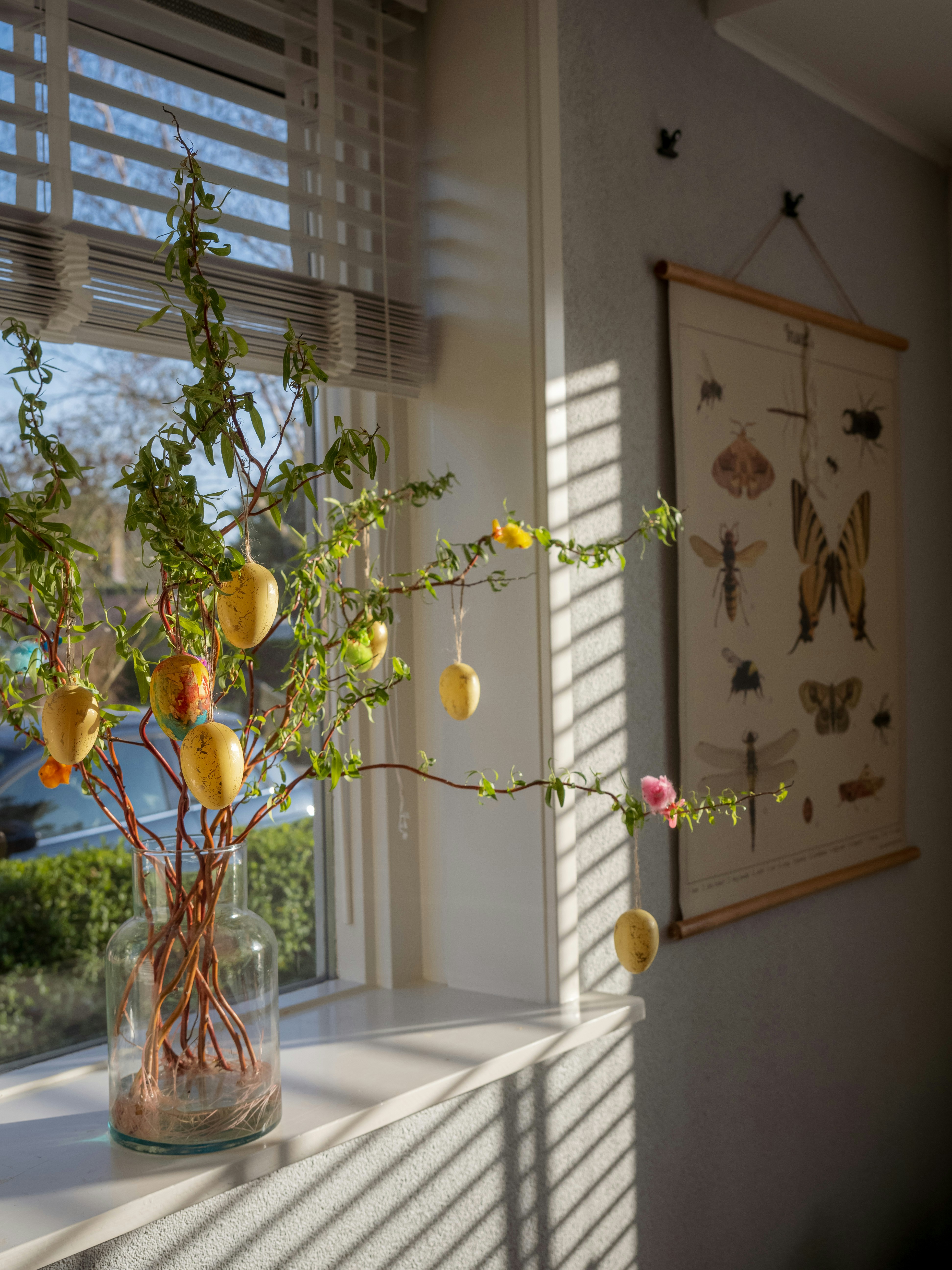 Sunlit Lemon Arrangement on a Window Sill