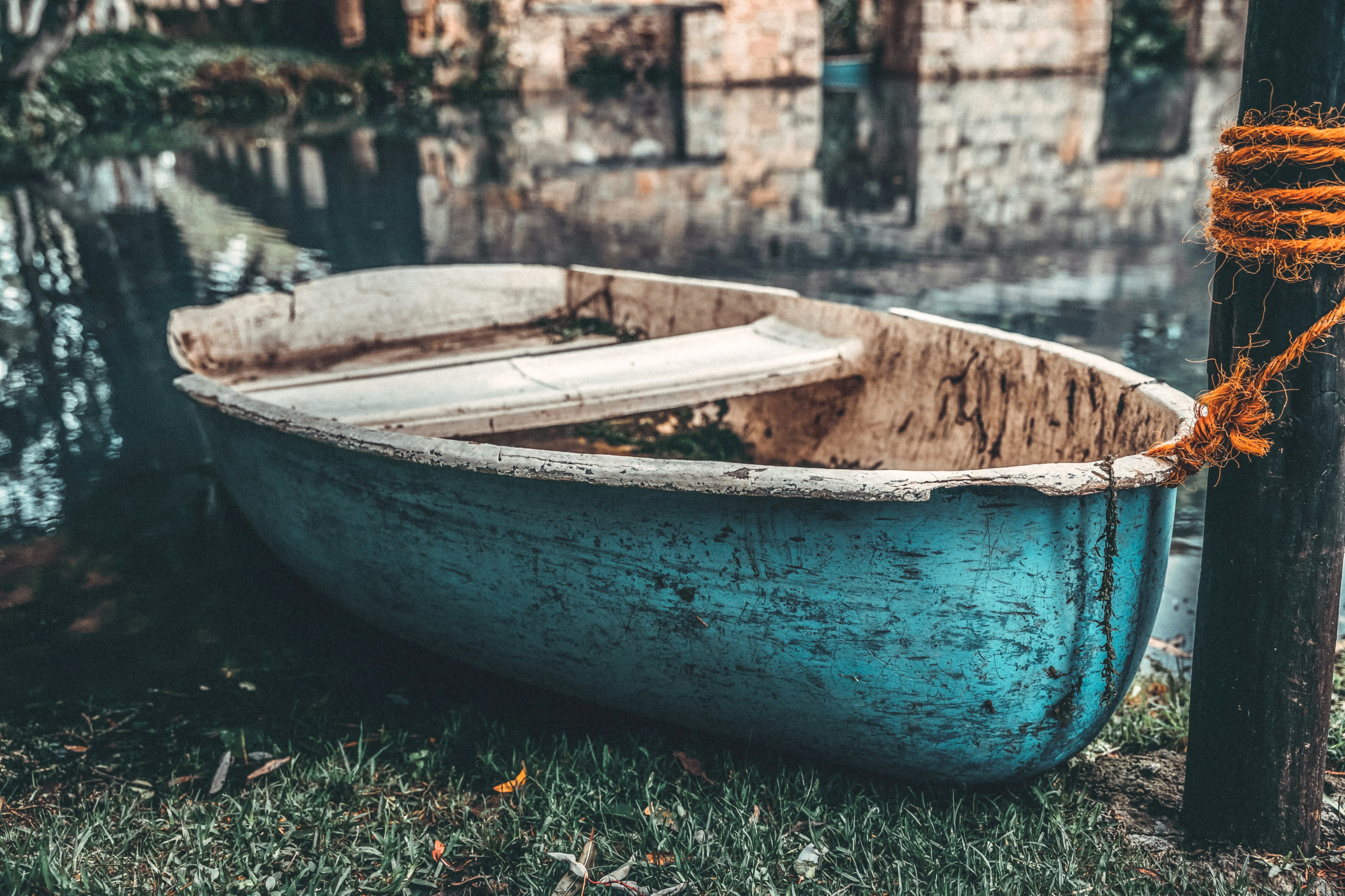 Blue and white boat on green grass during daytime photo – Free Grey ...