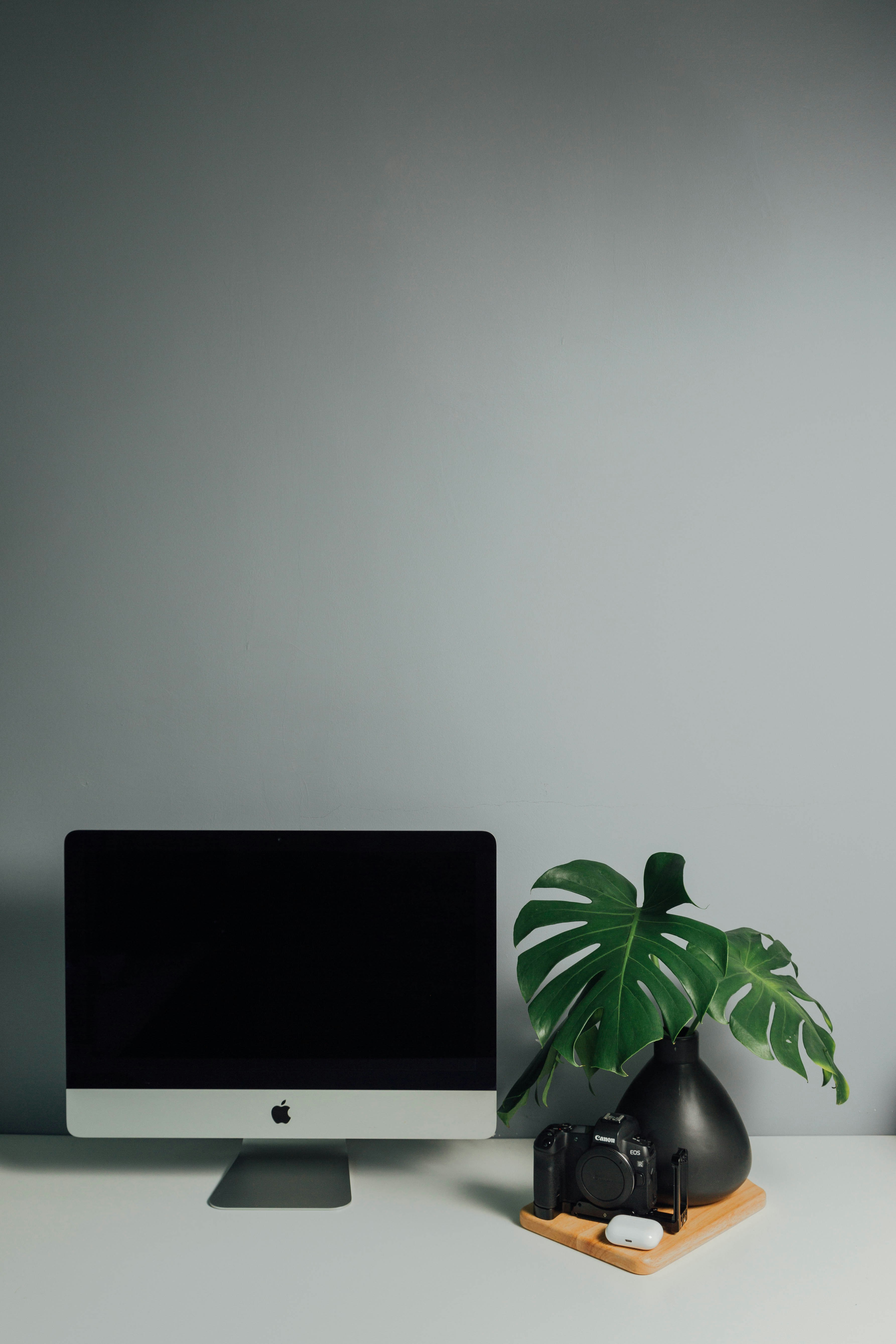 Minimalist workspace featuring a sleek computer, a stylish camera, and a vibrant monstera plant, all arranged on a clean surface.
