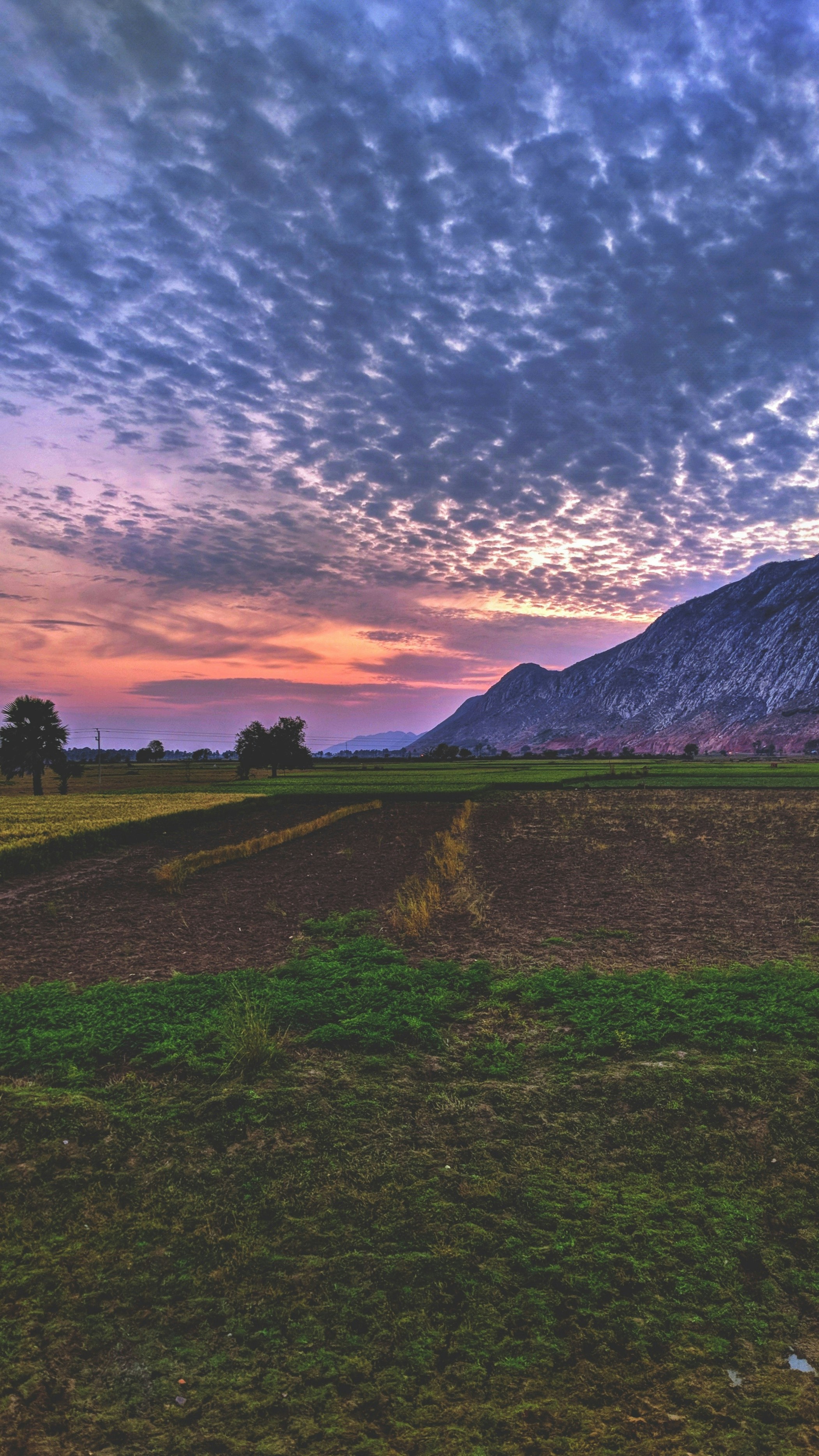 Avinash Bharti (@avinashbharti97) | Communauté photos Unsplash