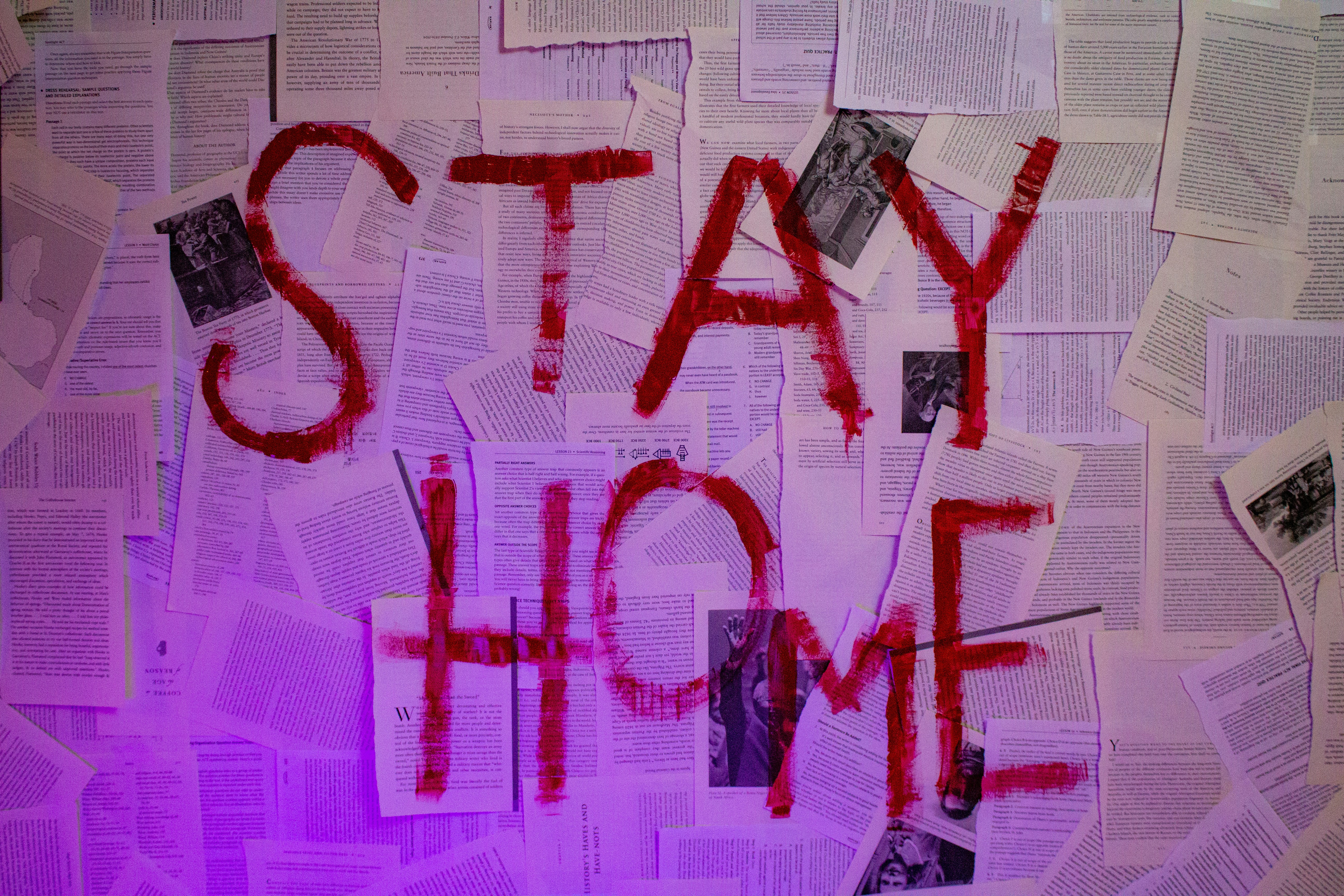 Painted Plea on Pages: Say It Loud on a Wall of Words