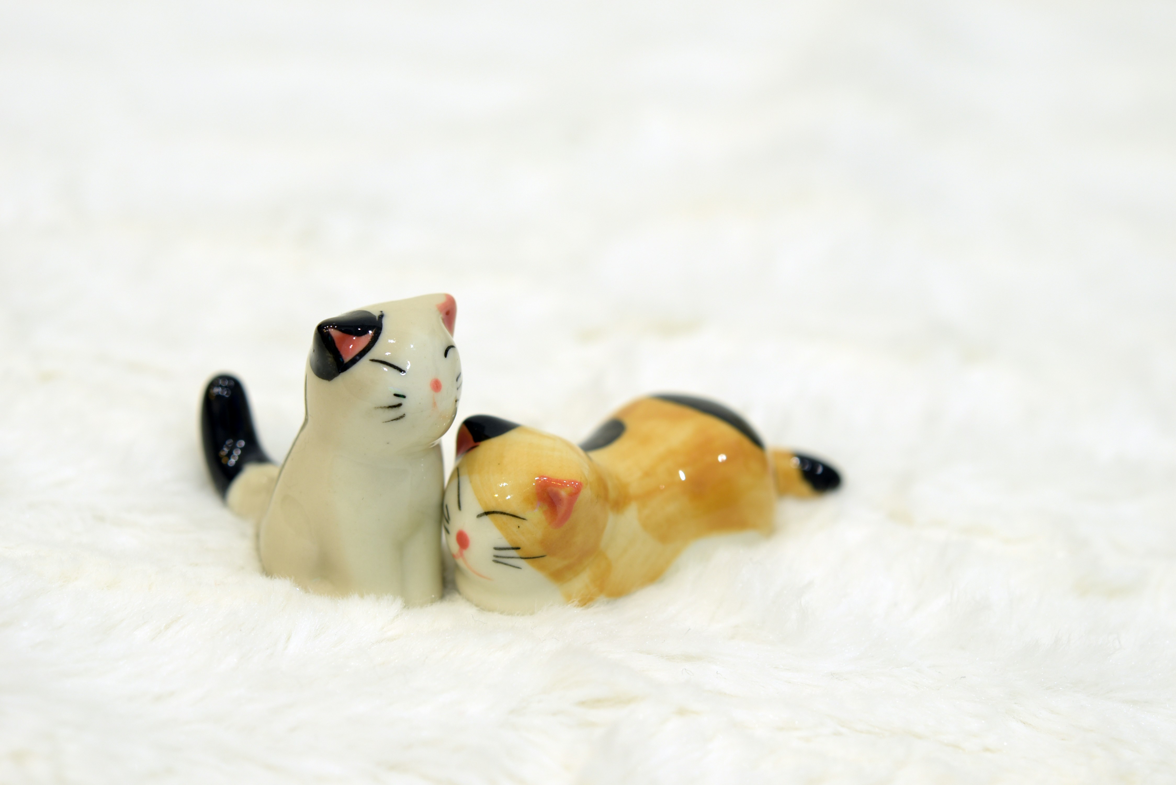 Kitty Cute Innocams Pictures | Download Free Images on Unsplash