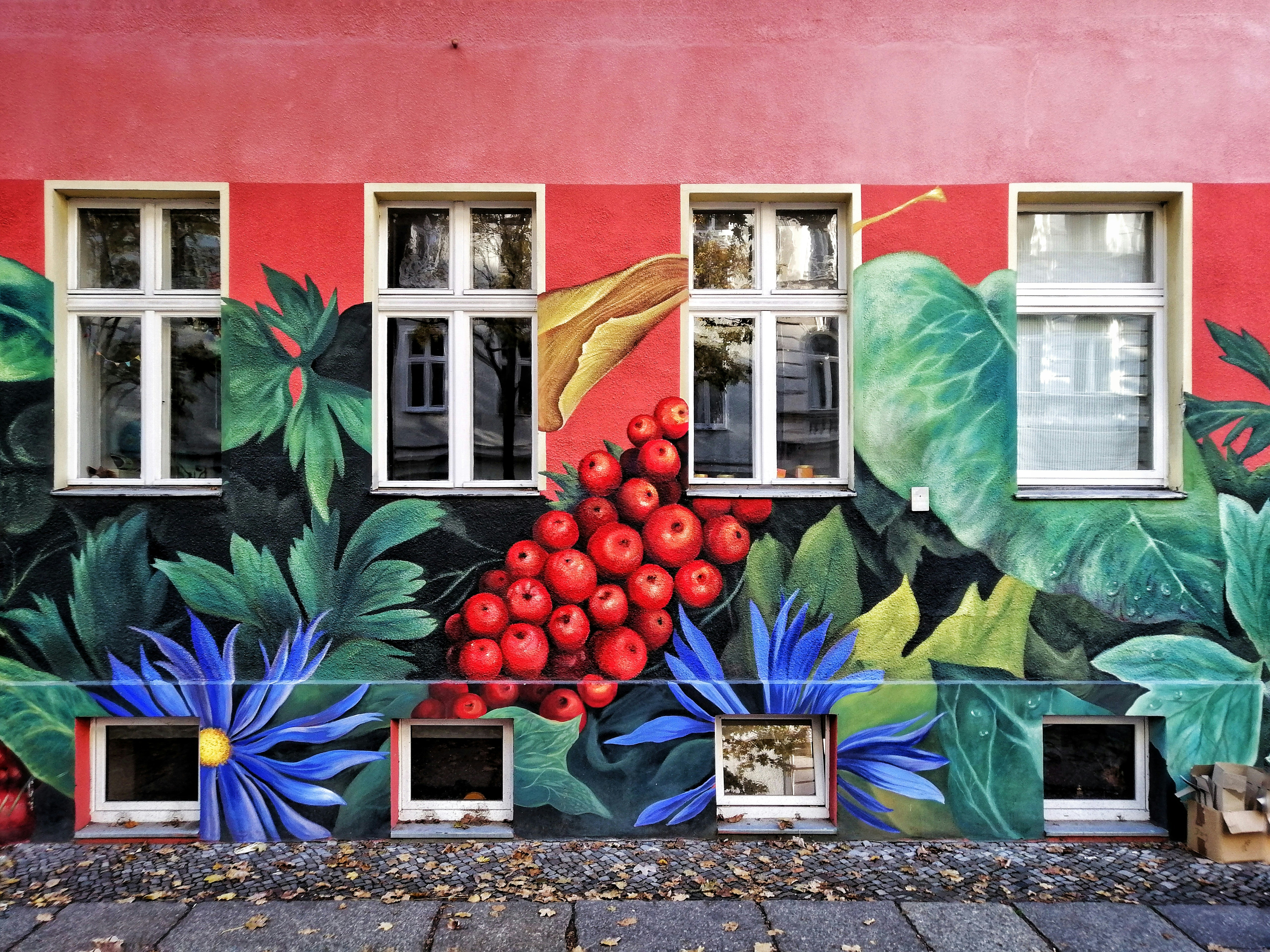 Colorful mural of flowers and berries on a building wall with three windows.