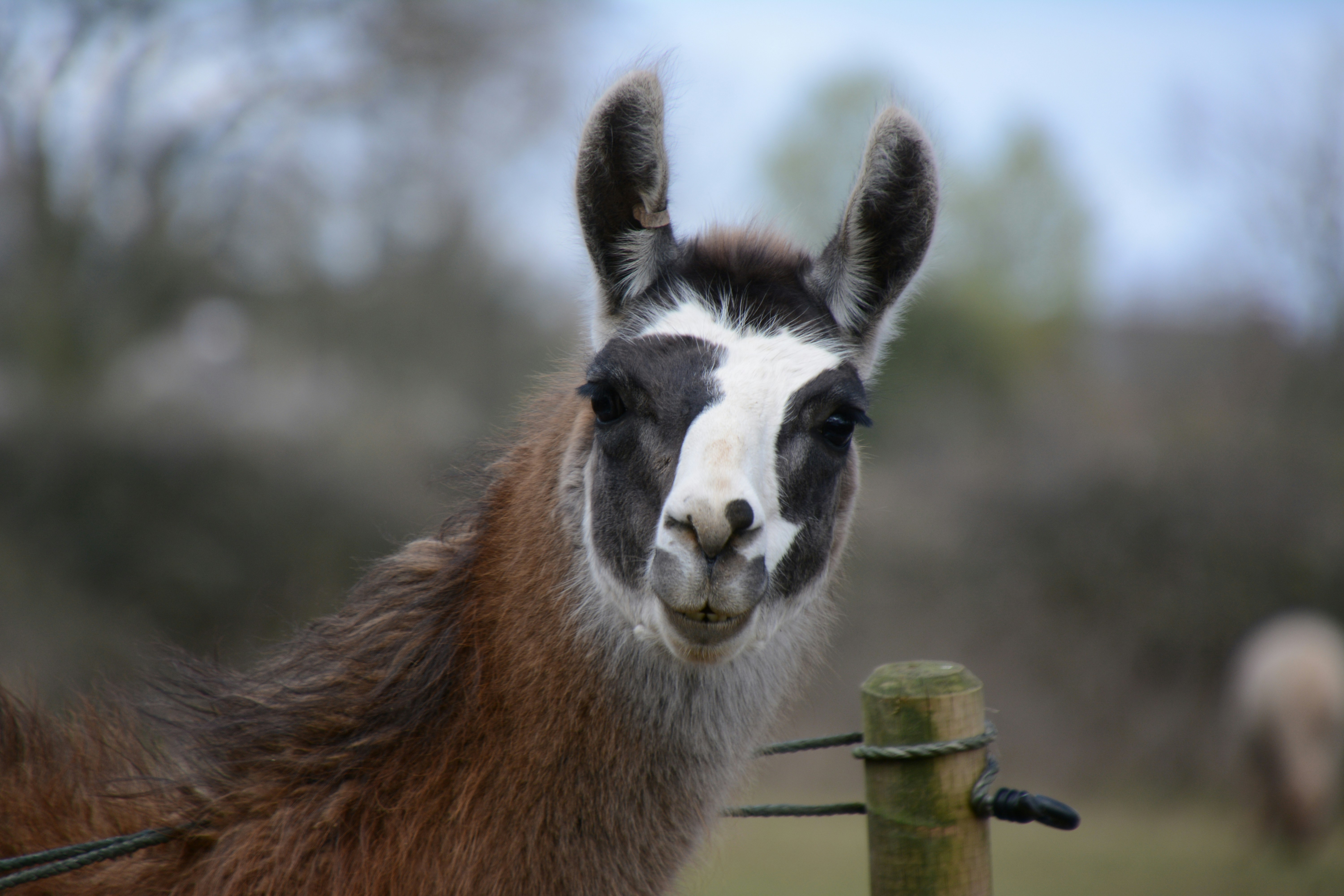 David Edkins (@romebaby) | Unsplash Photo Community