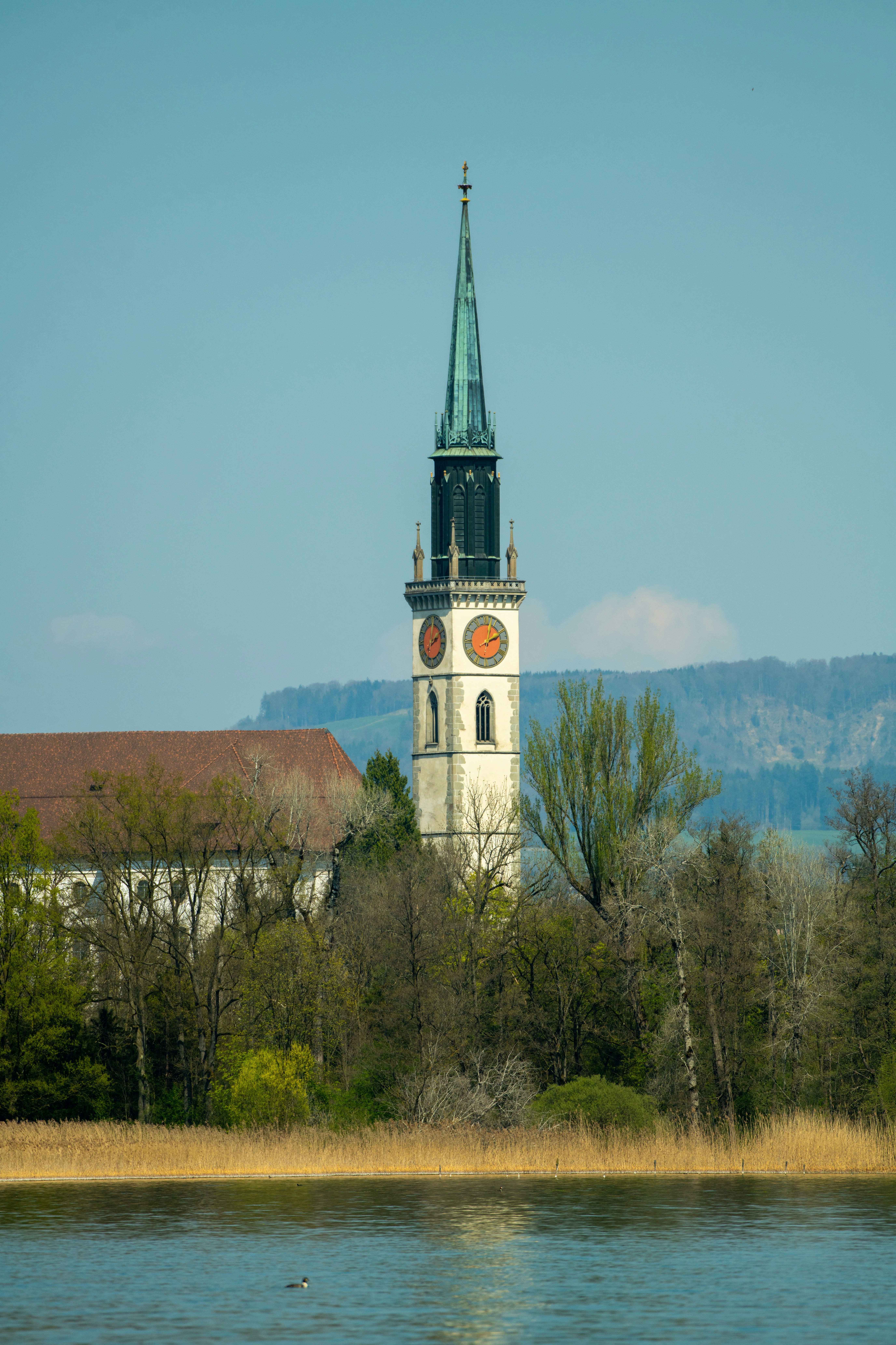 Définition de cham | Dictionnaire français