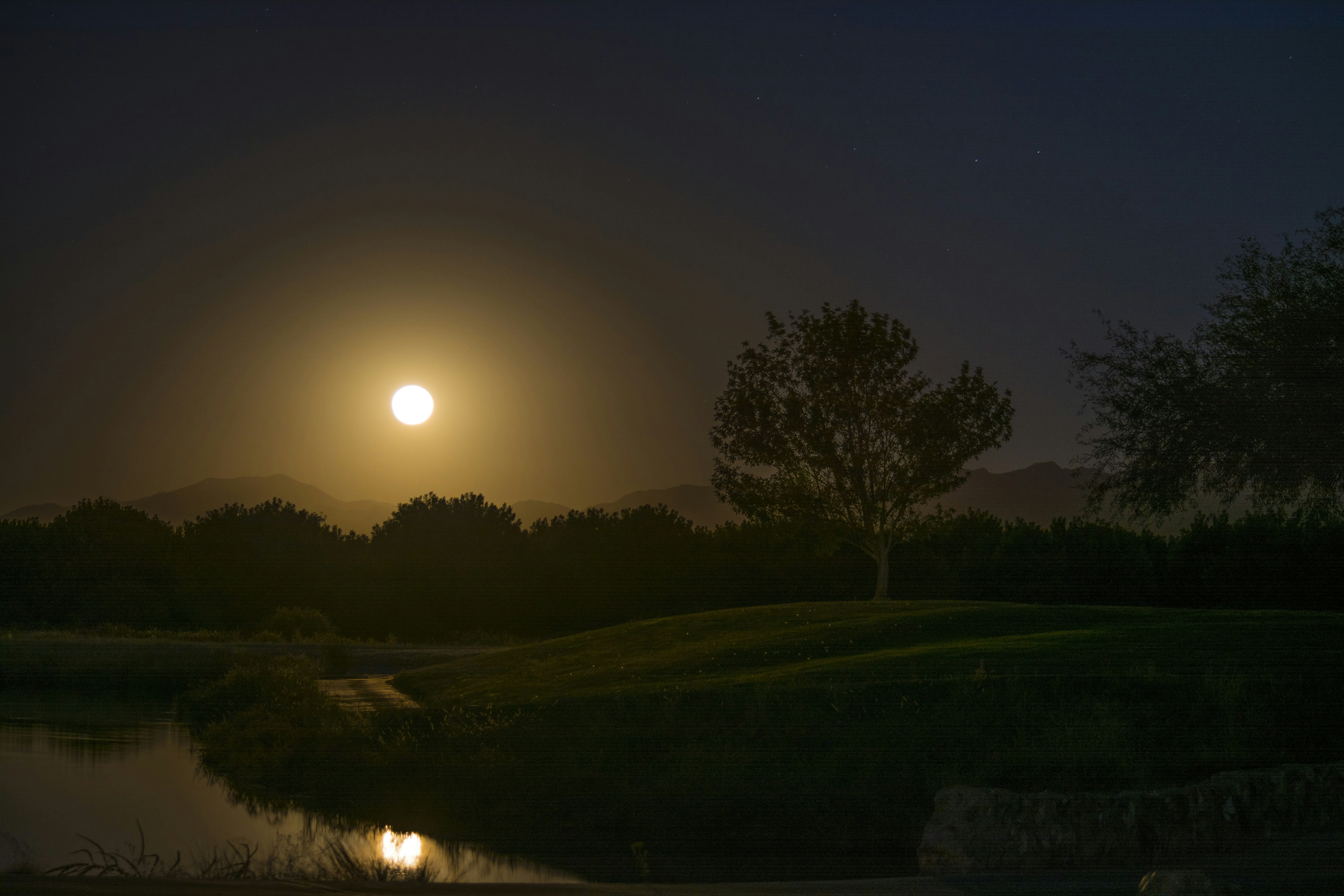 Lunar Glow Over Tranquil Landscape