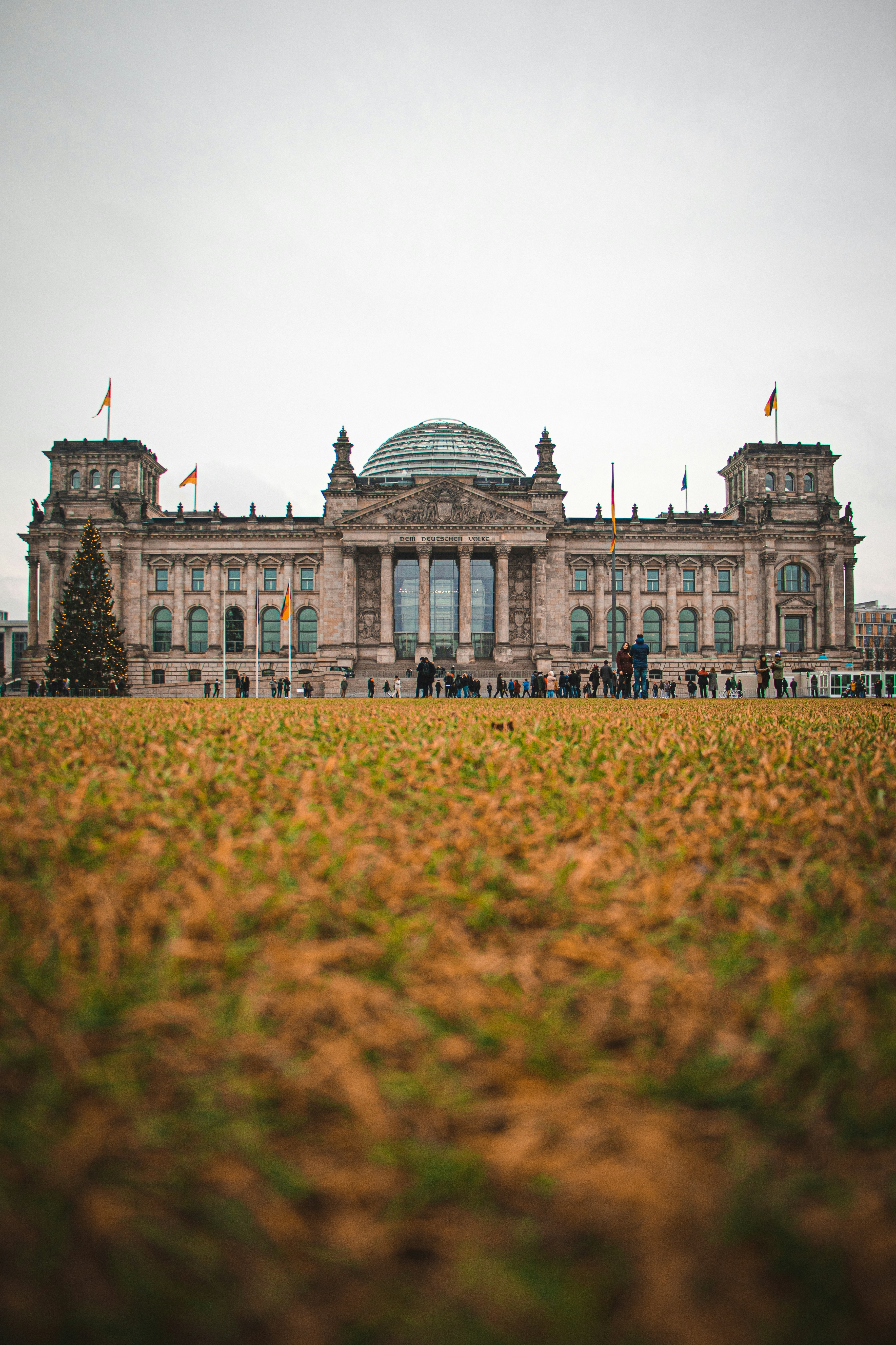 Historic Reichstag building framed by a winter landscape, with a Christmas tree in the foreground and visitors gathered on the lawn.