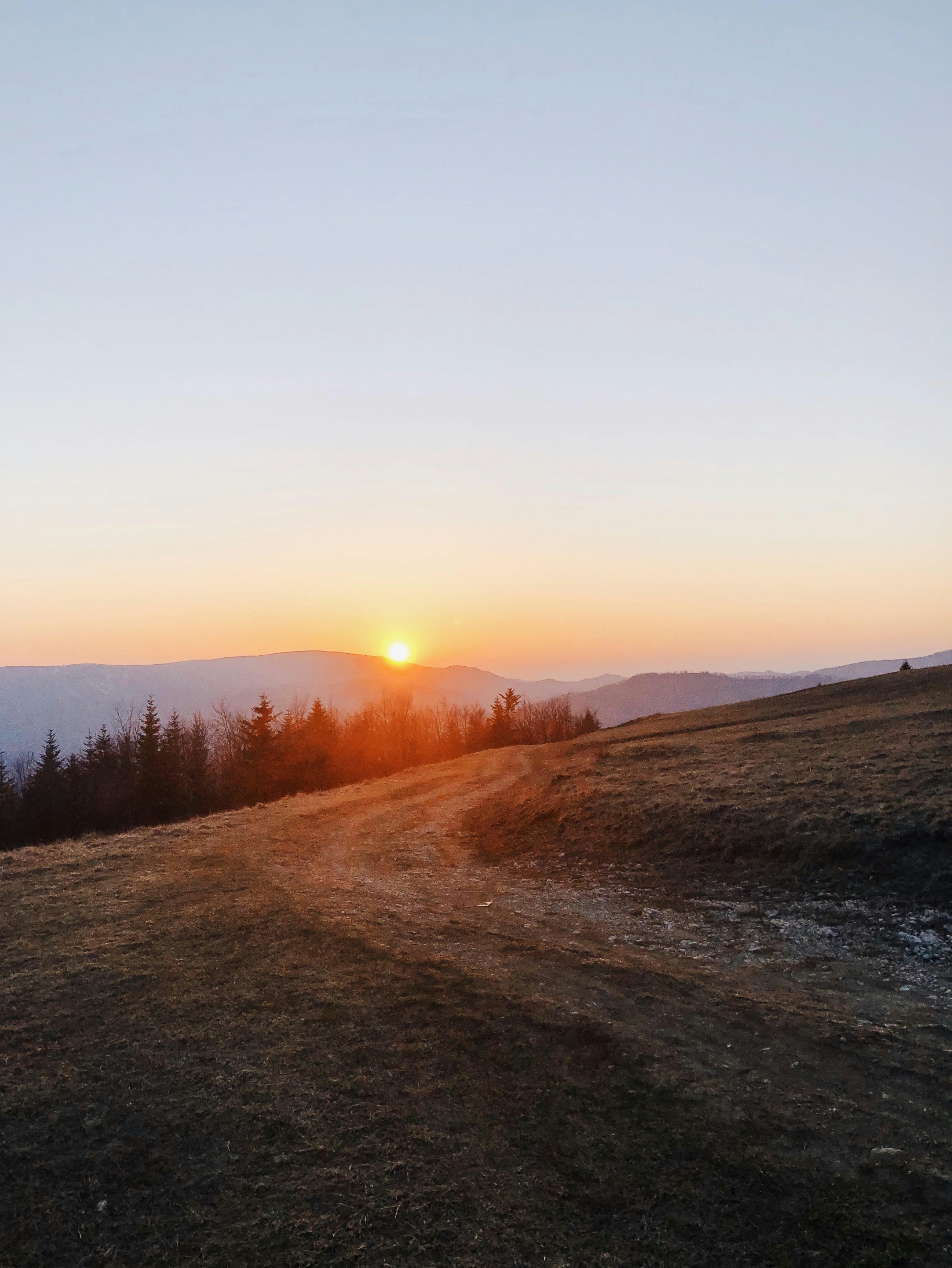 Matej Rieciciar (@m_riecko) | Unsplash Photo Community