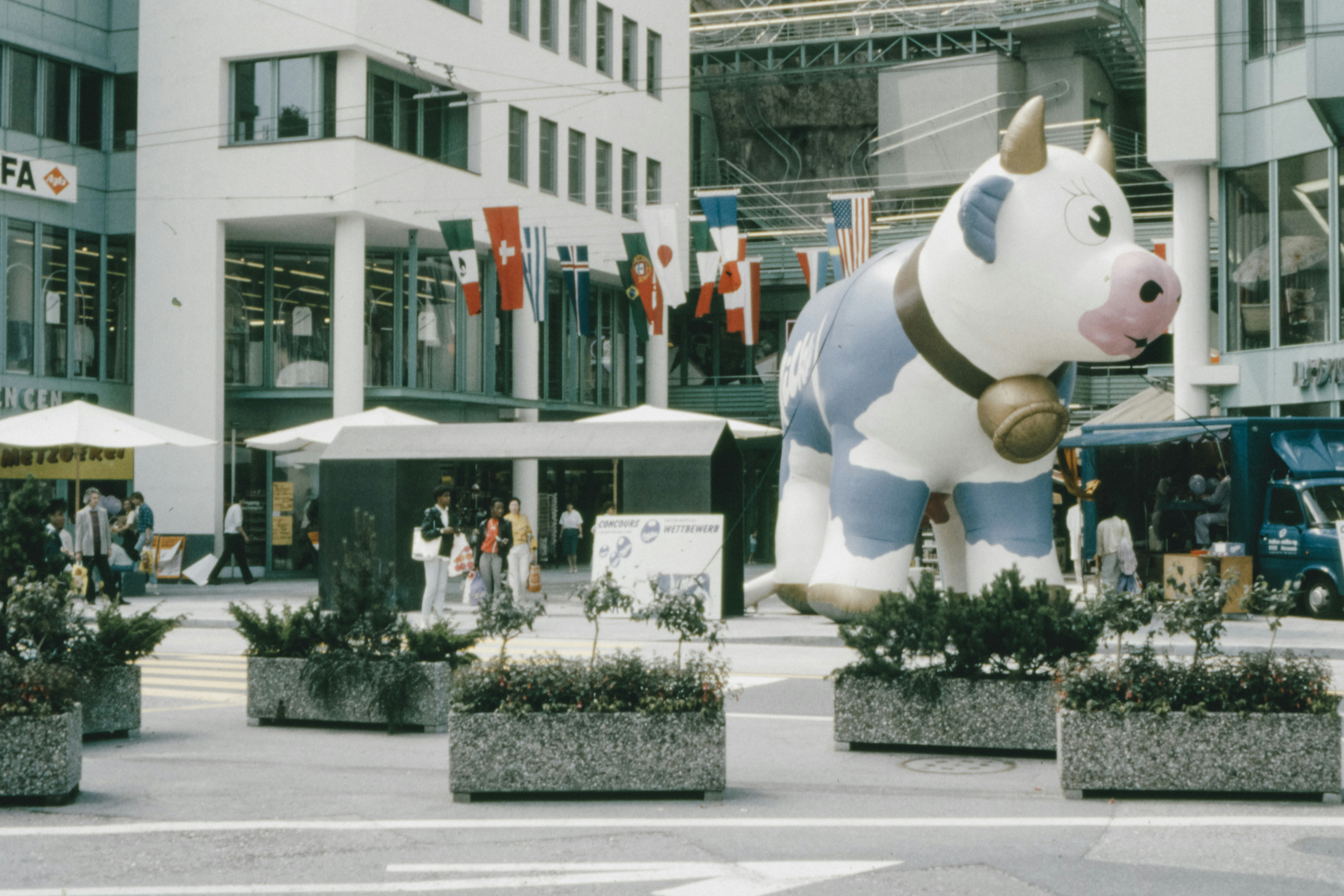 Giant Knit-Cow Stands Tall in City Square
