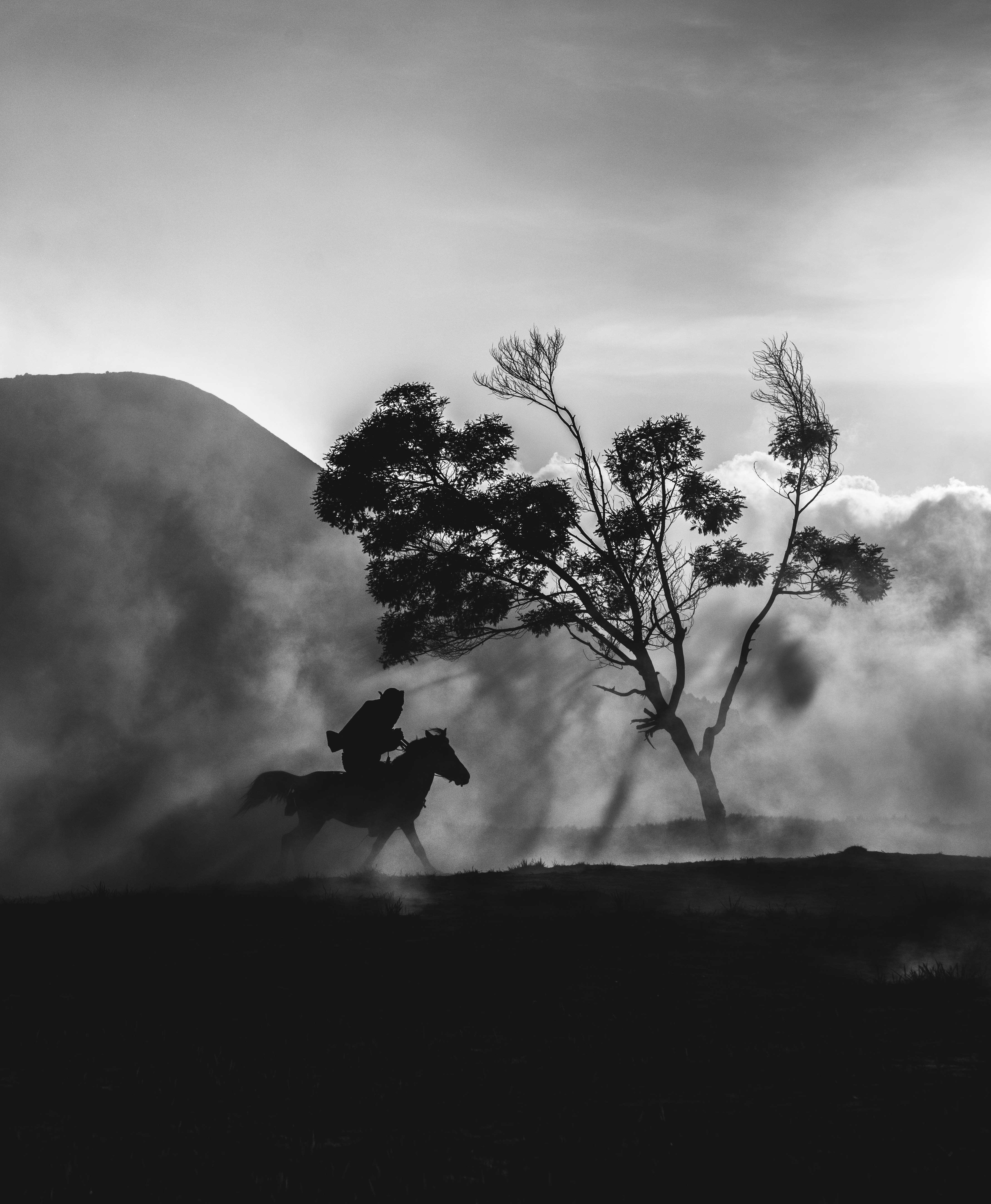Silhouetted horseman rides through a foggy landscape, framed by a lone tree and distant hills. The monochrome tones enhance the atmosphere of mystery.