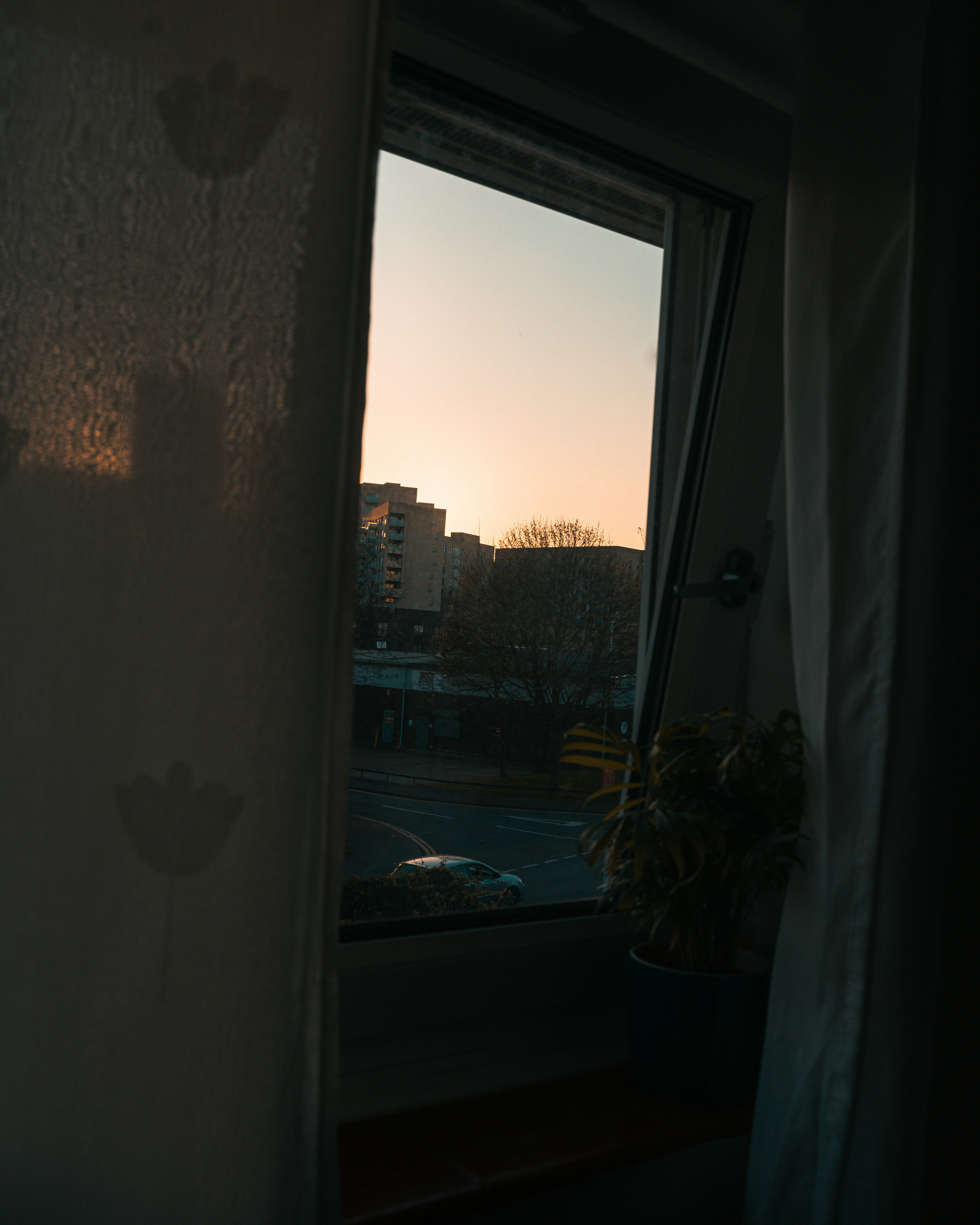 Reminisce Pictures | Download Free Images on Unsplash