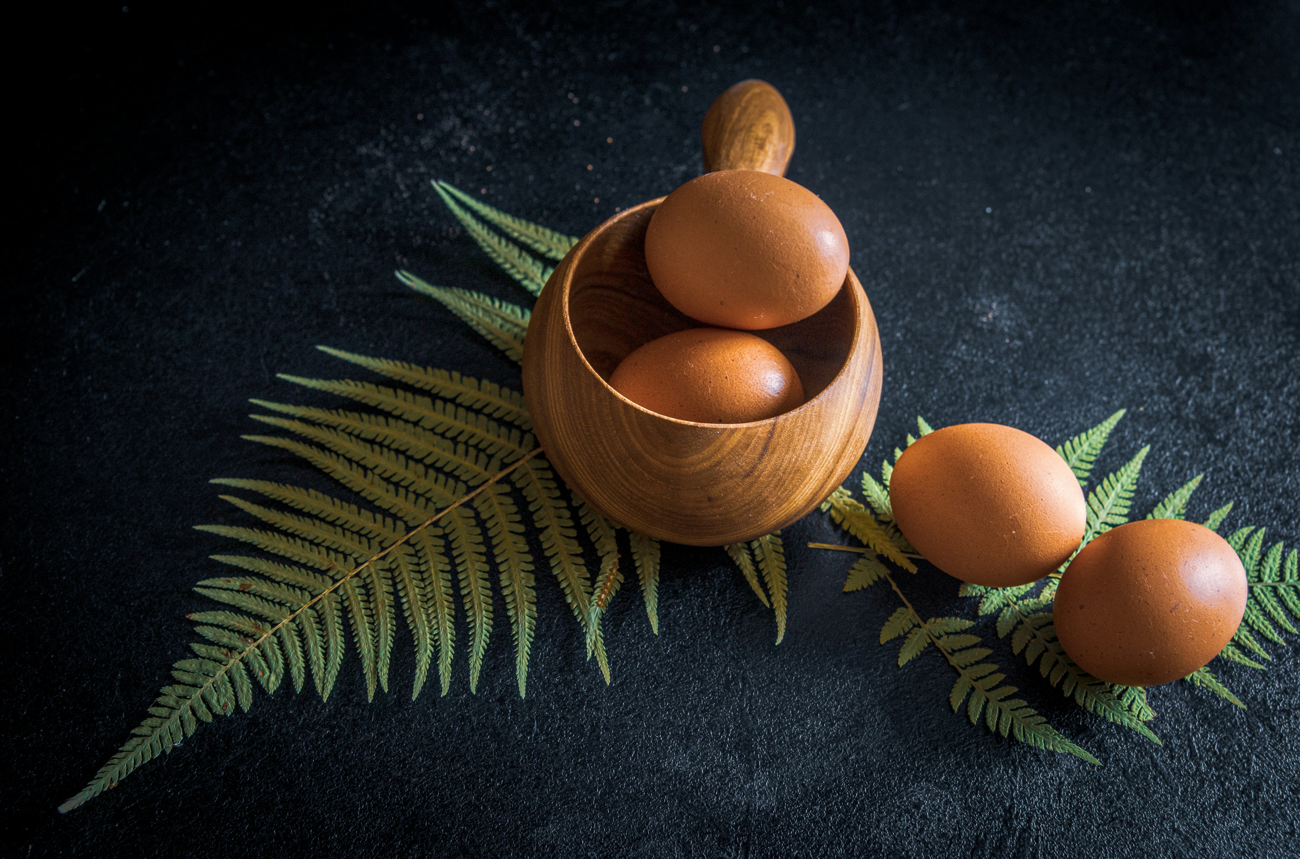 Food, Eggs, Animal Egg, Easter, Cooking, Organic, Freshness, Healthy Eating, Backgrounds, Nature, Ingredient, Cultures, Brown, Raw Food, Breakfast, Illustration, Decoration, Food And Drink, Wood - Material, Close-up, White, Symbol, Table, No People, Gourmet, Meal, Green Color, Dieting, Leaf, Ornate, Yellow, Single Object, Healthy Lifestyle, Egg Yolk, Cholesterol, Black Color, Eating, Red, Season, Isolated, Branch, Copy Space, Concepts, Holiday, Space, Ideas, Plant, Rustic, Vector