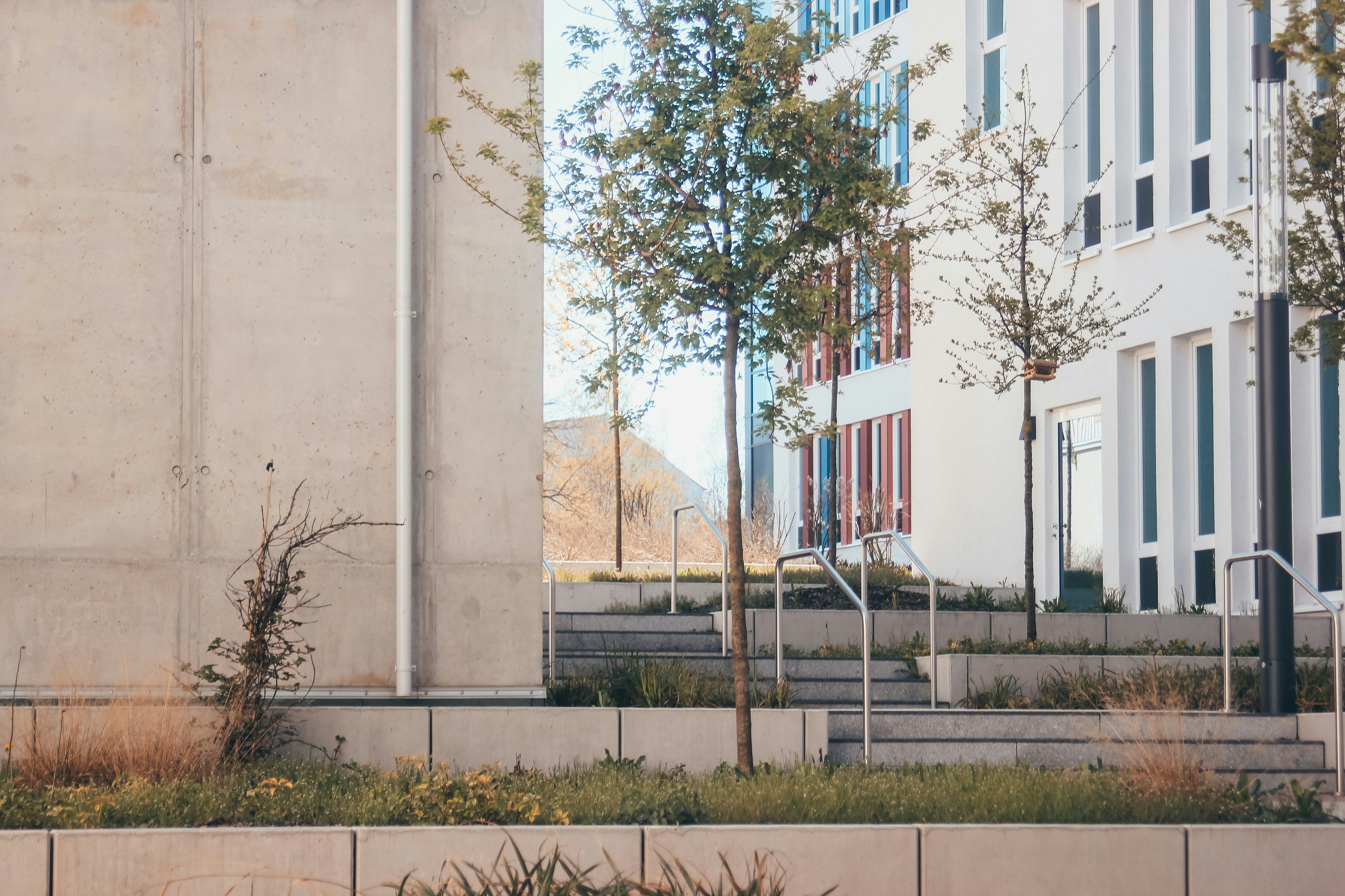 Contemporary building facade with a landscaped walkway featuring young trees and shrubs.