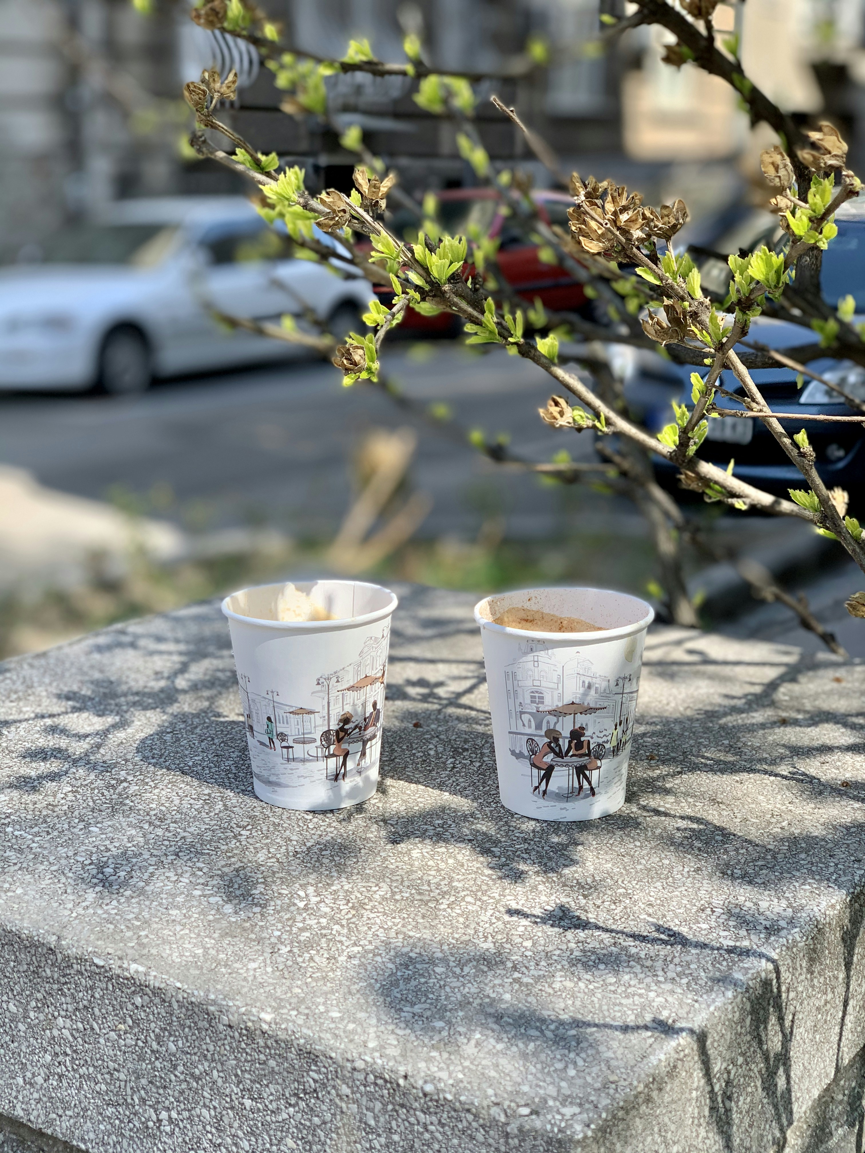 Two illustrated coffee cups resting on a stone surface, surrounded by budding branches in an urban setting. The scene captures a tranquil moment amidst city life.