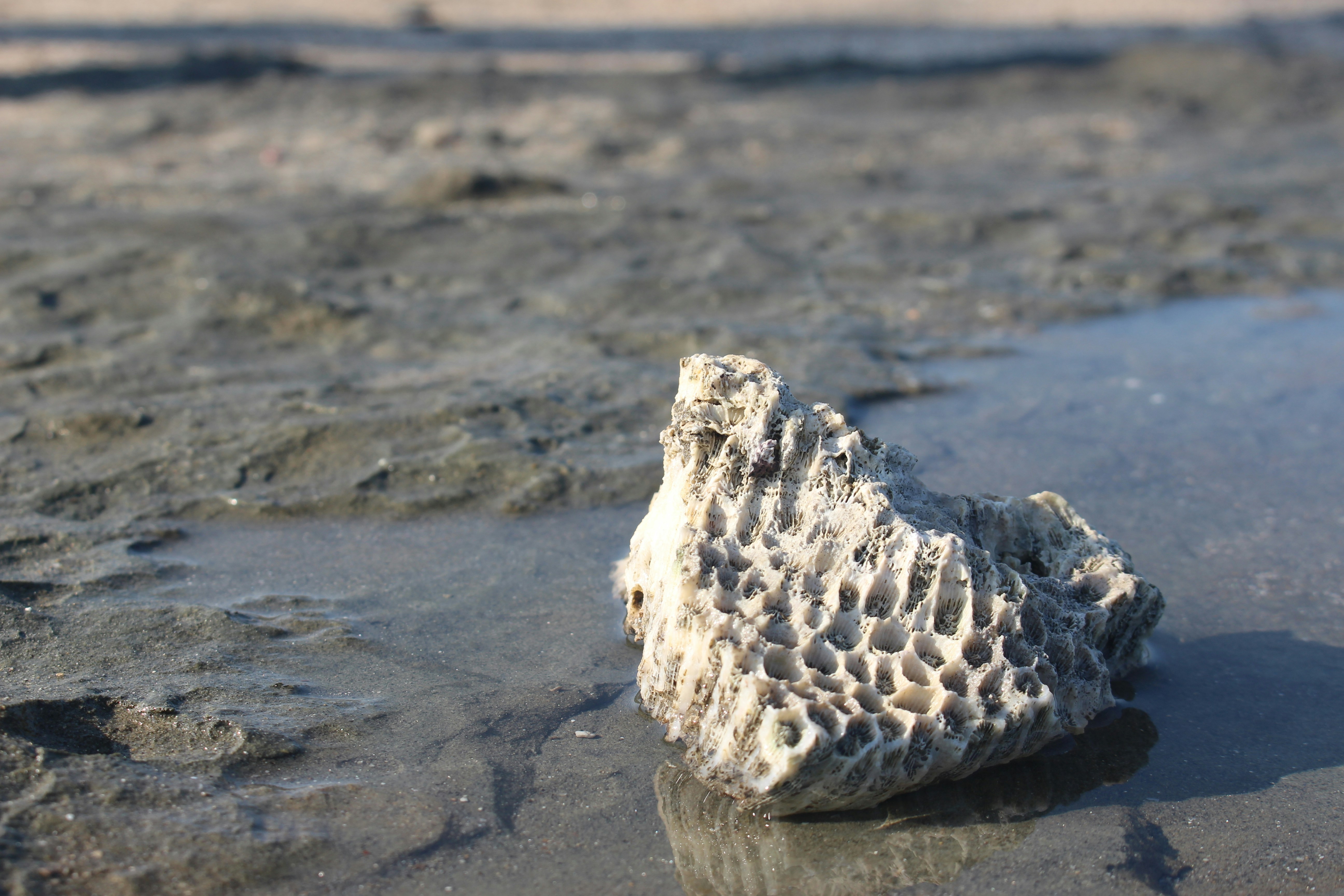 Honeycombed rock anchors the quiet shoreline