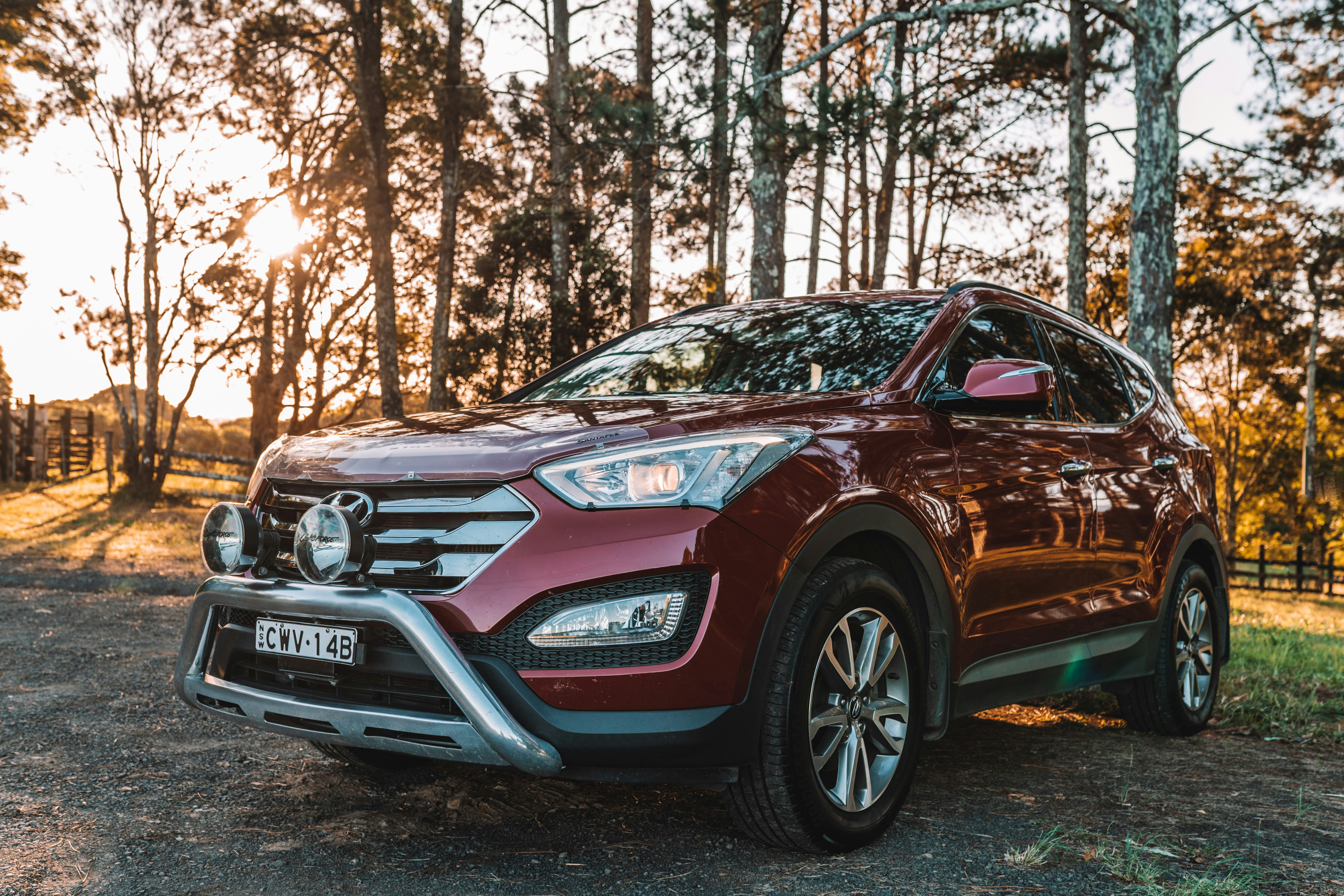 Brown audi a 4 coupe parked near trees during daytime photo – Free ...