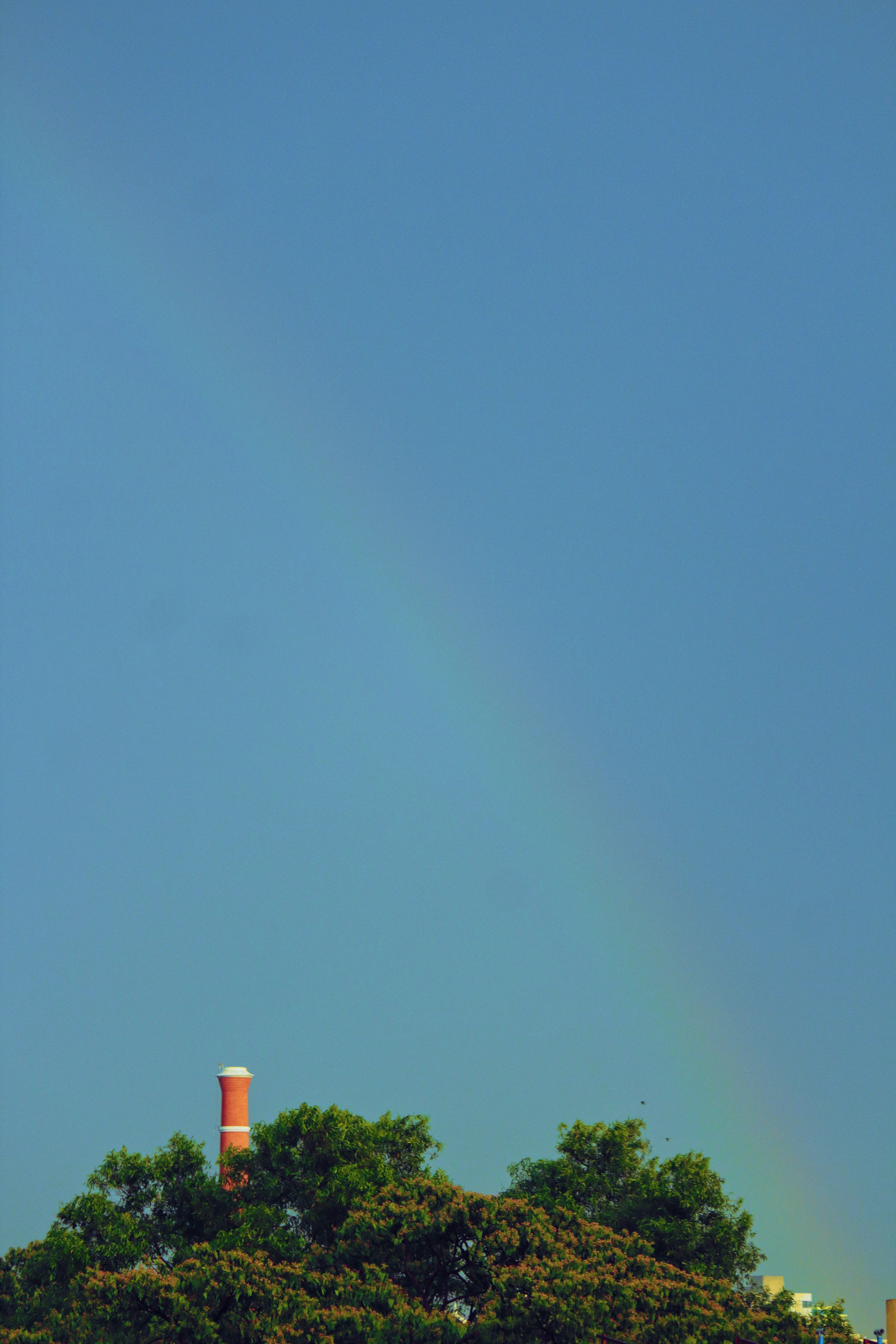 A vibrant rainbow arcs gracefully over a lush tree, with a brick chimney peeking through the foliage. The scene captures a serene moment of nature blending with urban elements.
