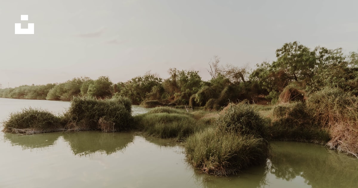 Green Grass Near Body Of Water During Daytime Photo Free Nature Image
