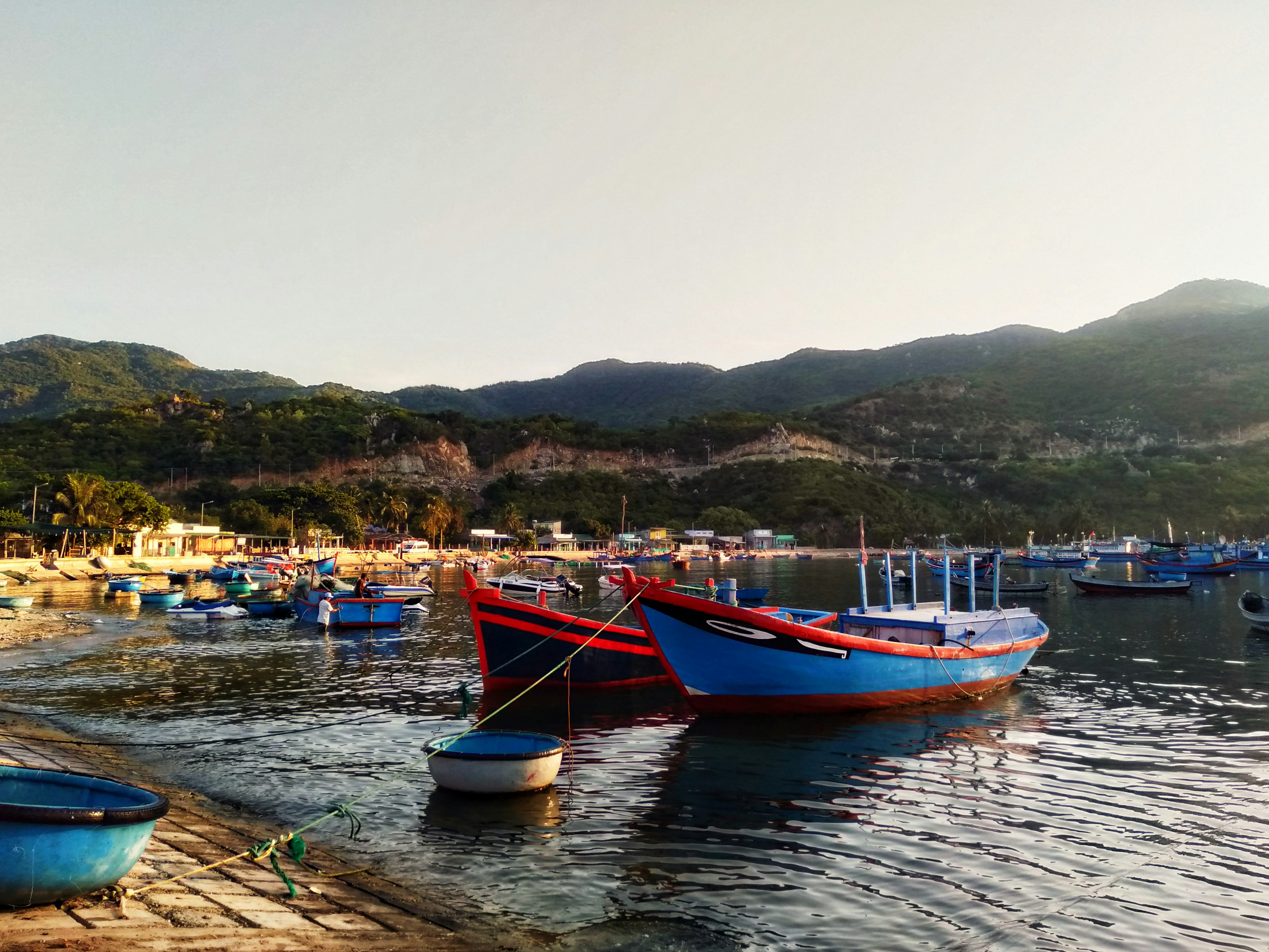 Colorful fishing boats anchored in a tranquil bay with mountains in the background.