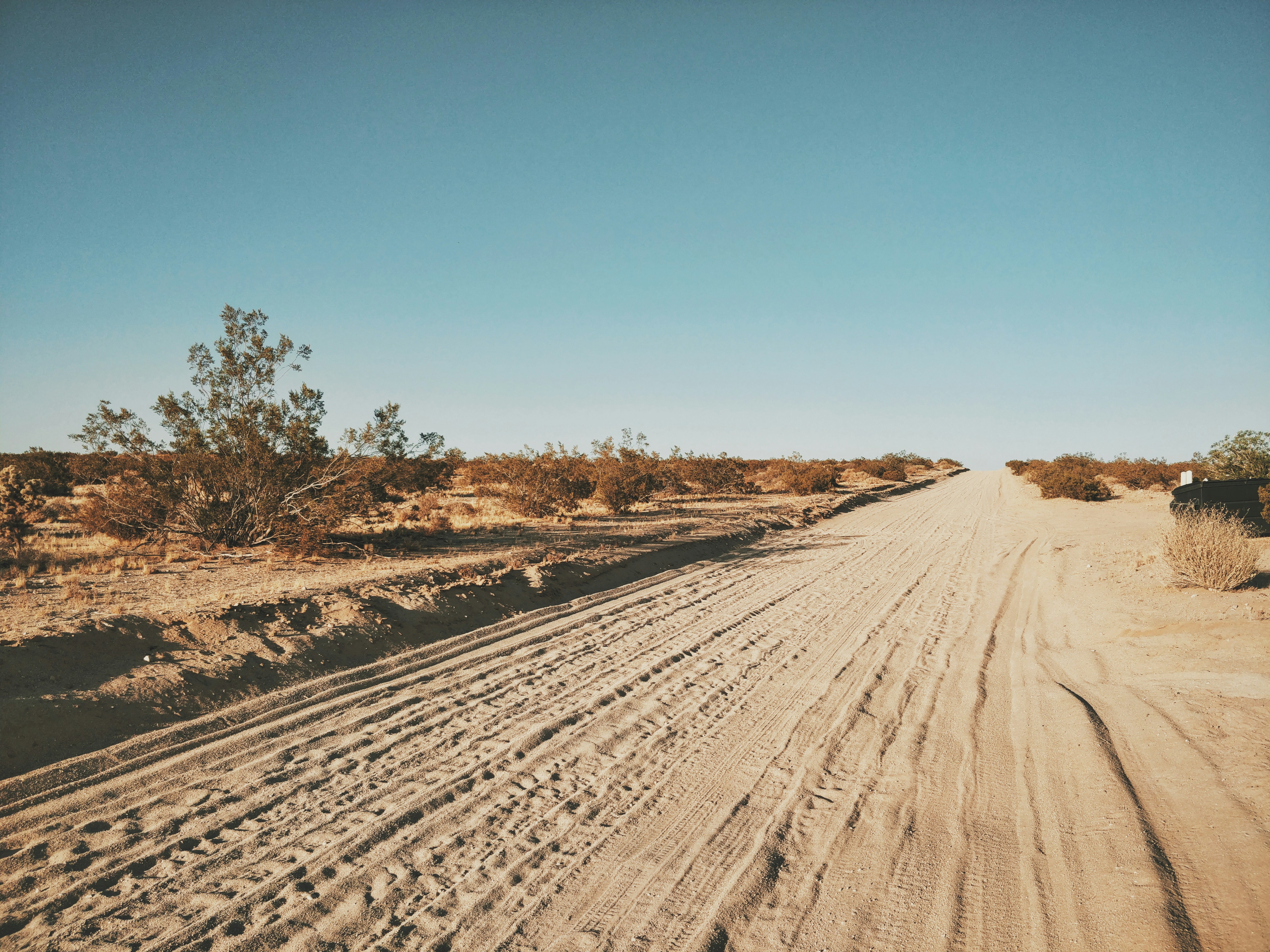 Winding dirt road cuts through a sunlit desert landscape, flanked by sparse vegetation under a clear blue sky.