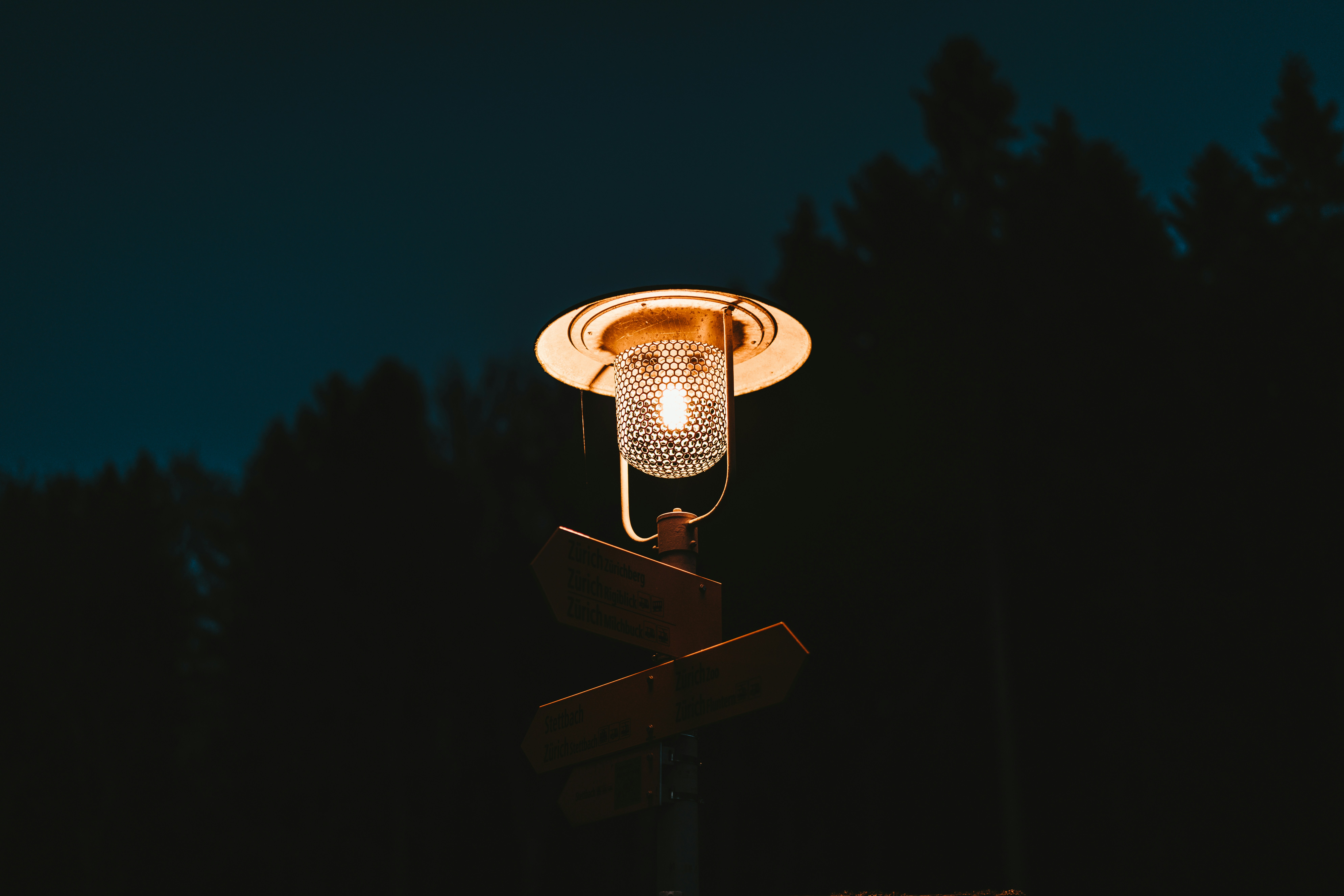 Night Glow: A Lantern Bursts Into Focus Against Silent Pines