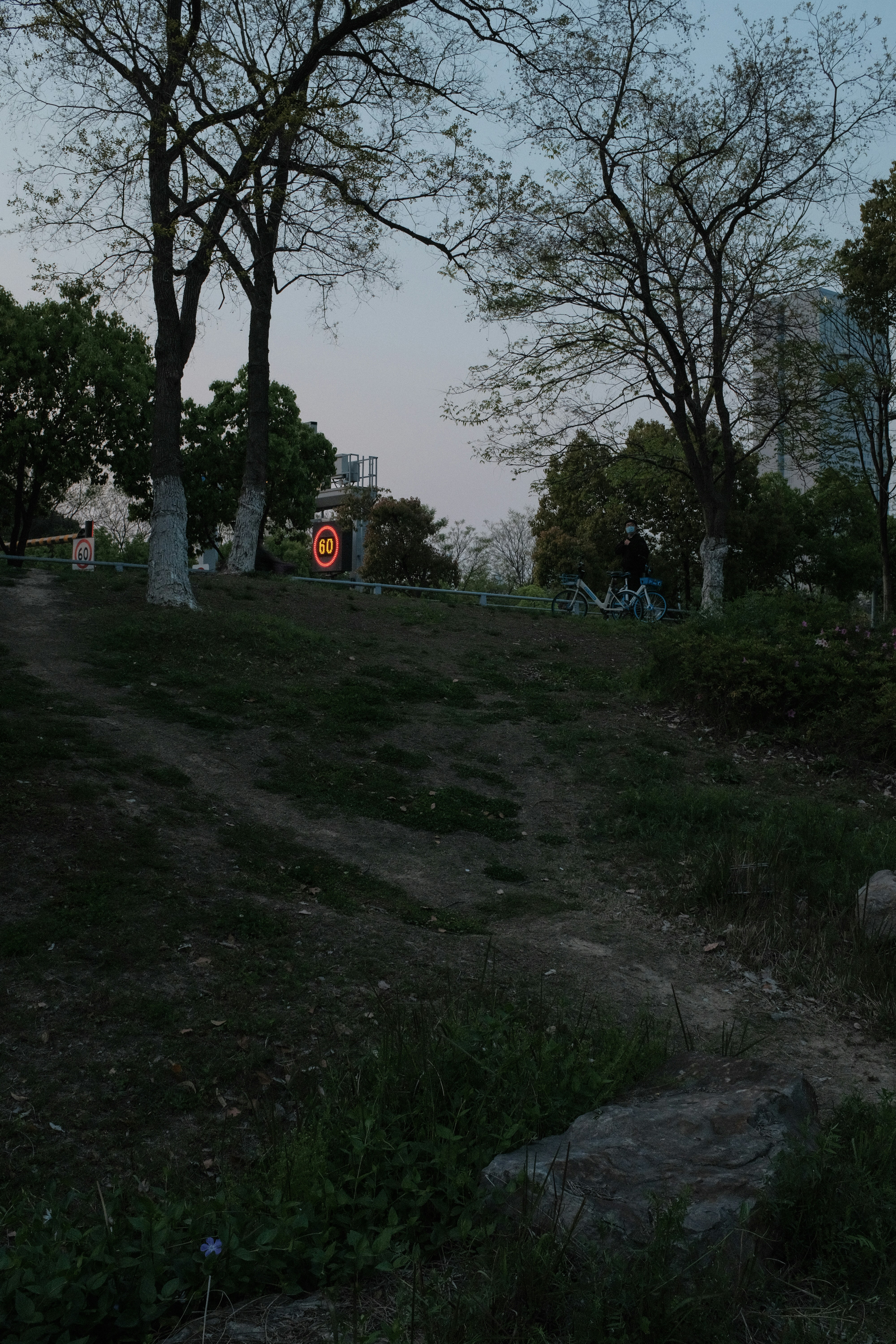 A tranquil park setting at dusk, featuring a speed limit sign and trees with sparse foliage. The scene captures a moment of stillness as the day transitions to night.