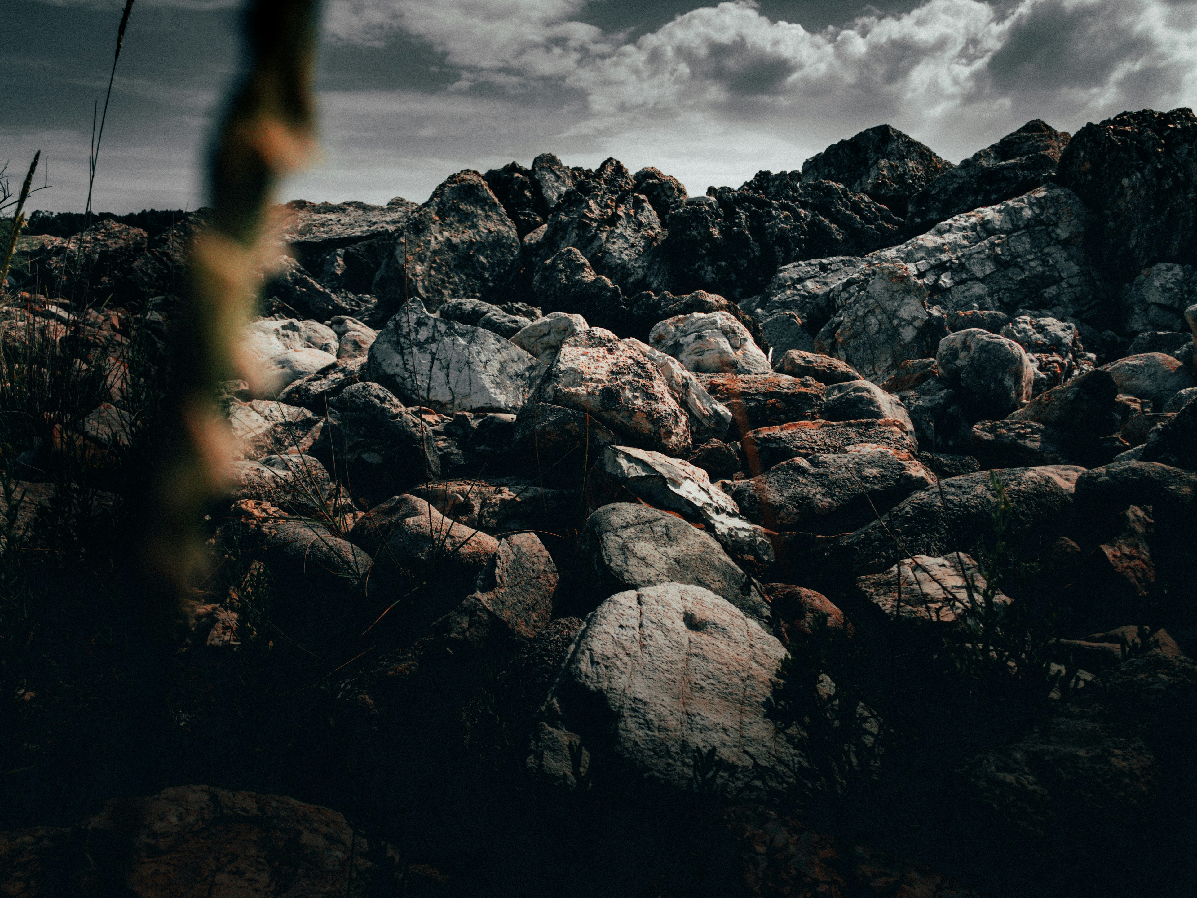 Définition de pierrier | Dictionnaire français