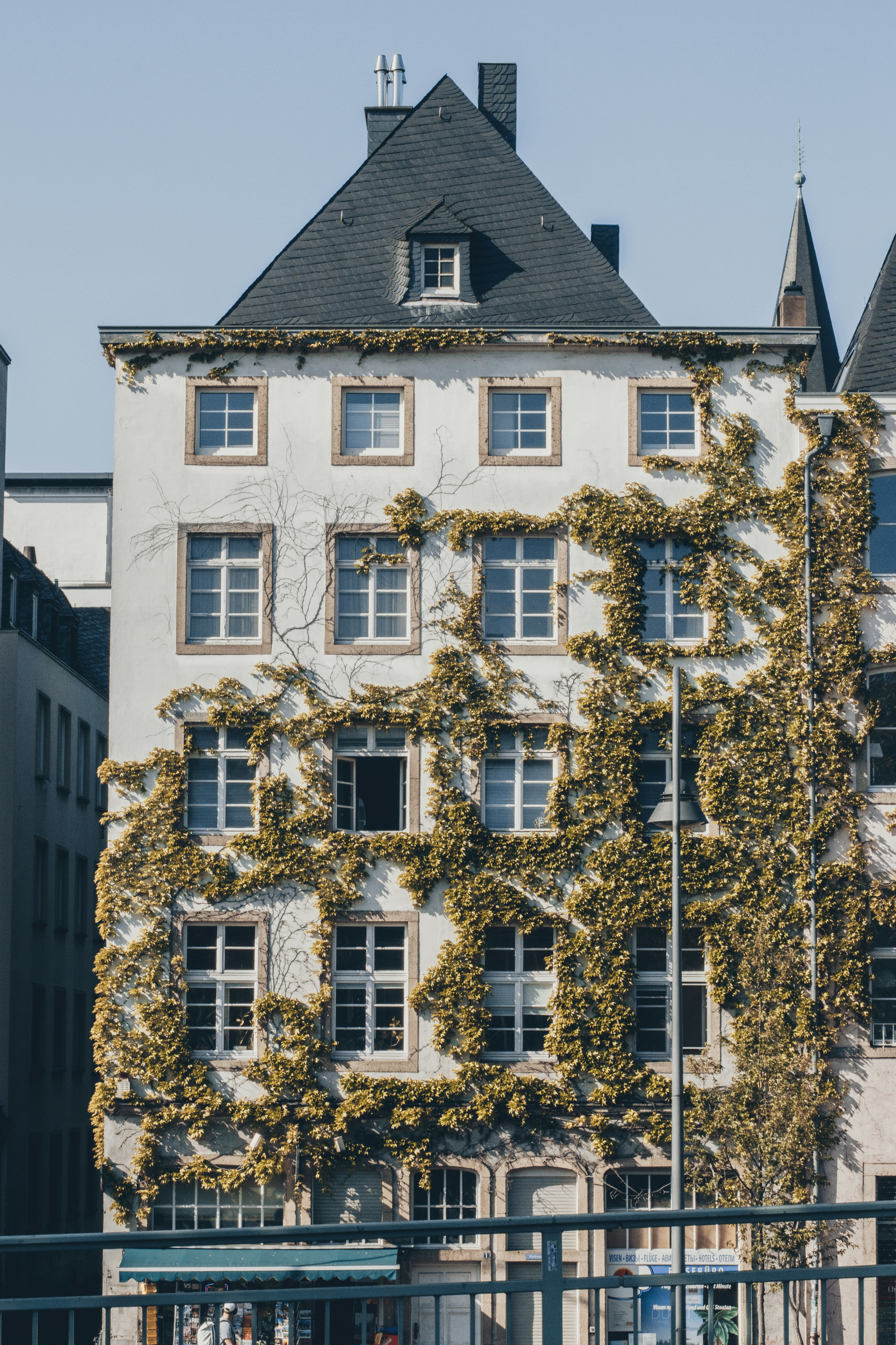 Ivy-Threaded Facade: A Sunlit City House