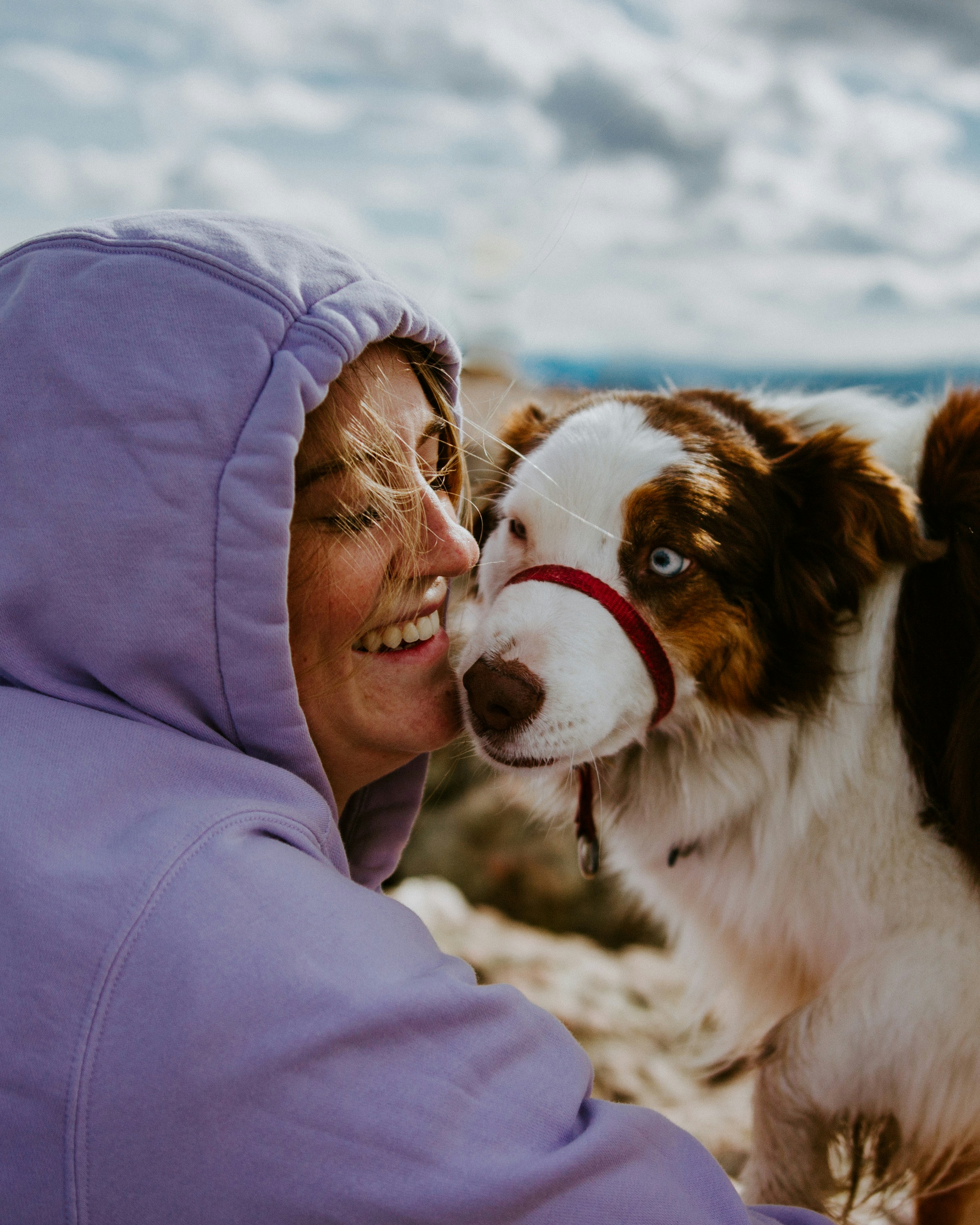 Violet Hoodie, Loyal Gaze: A Beachside Moment Between Woman and Dog