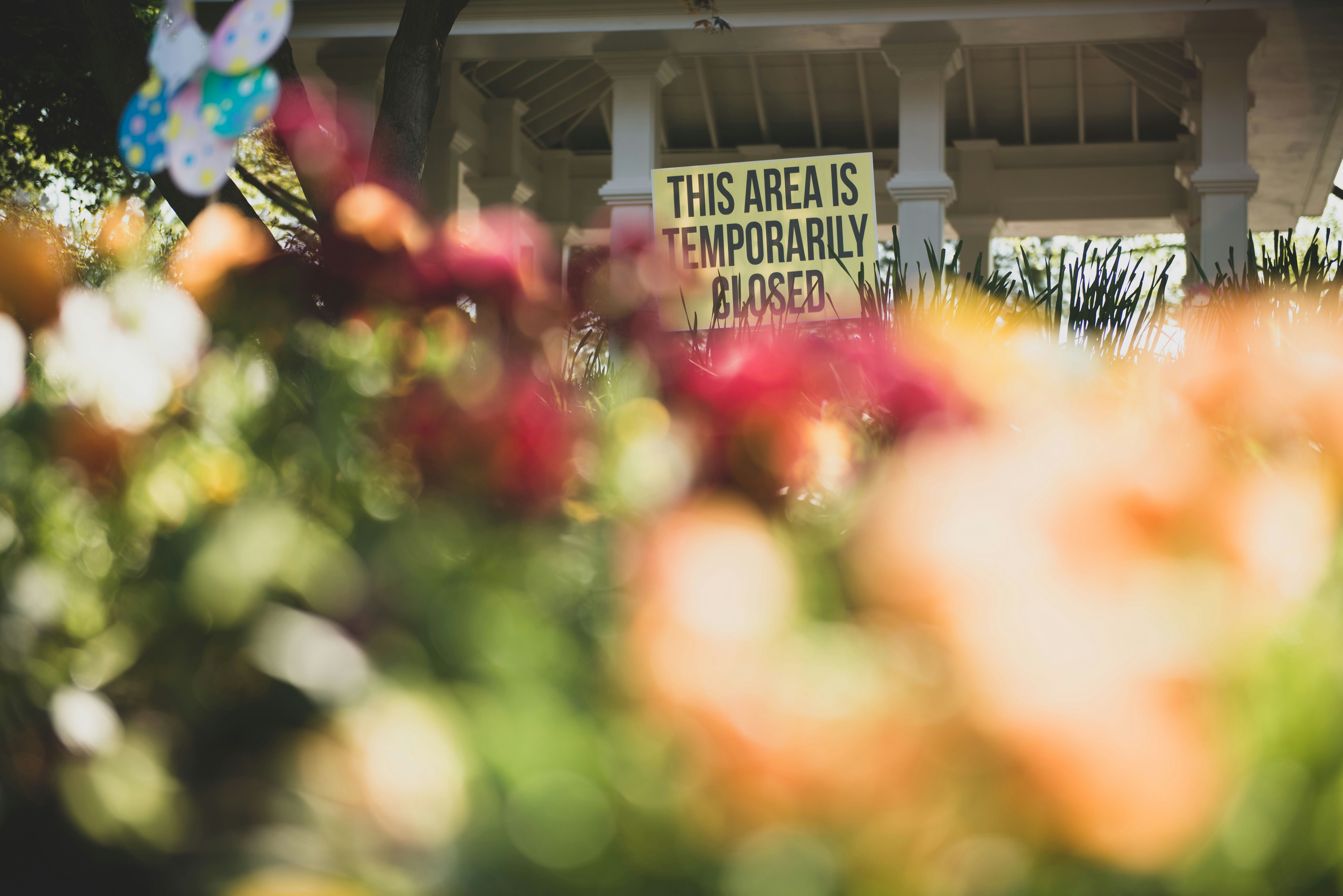 Terrance Raper (@tkr92) | Unsplashフォトコミュニティ