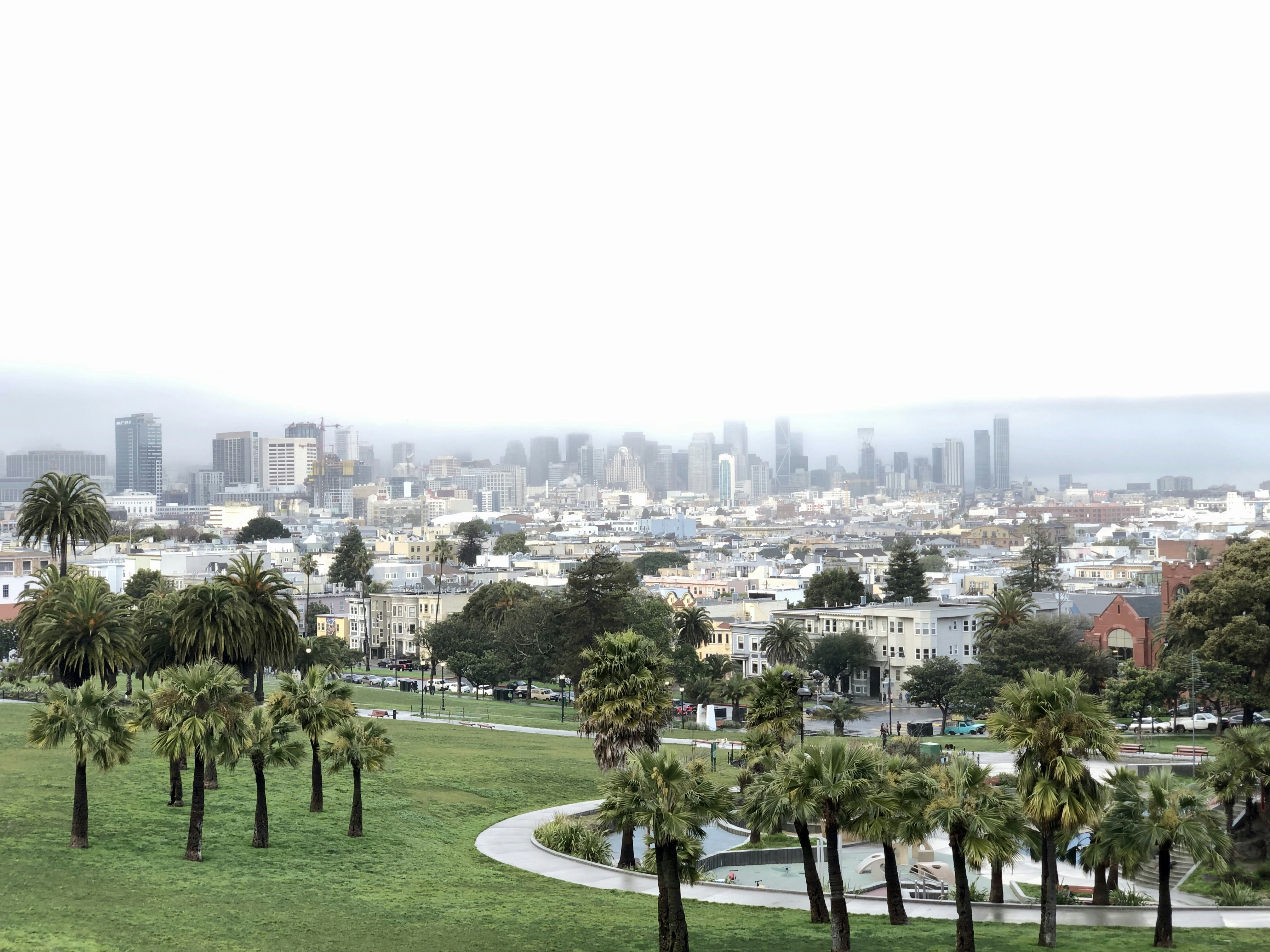 Fog-Kissed Cityscape from the Park