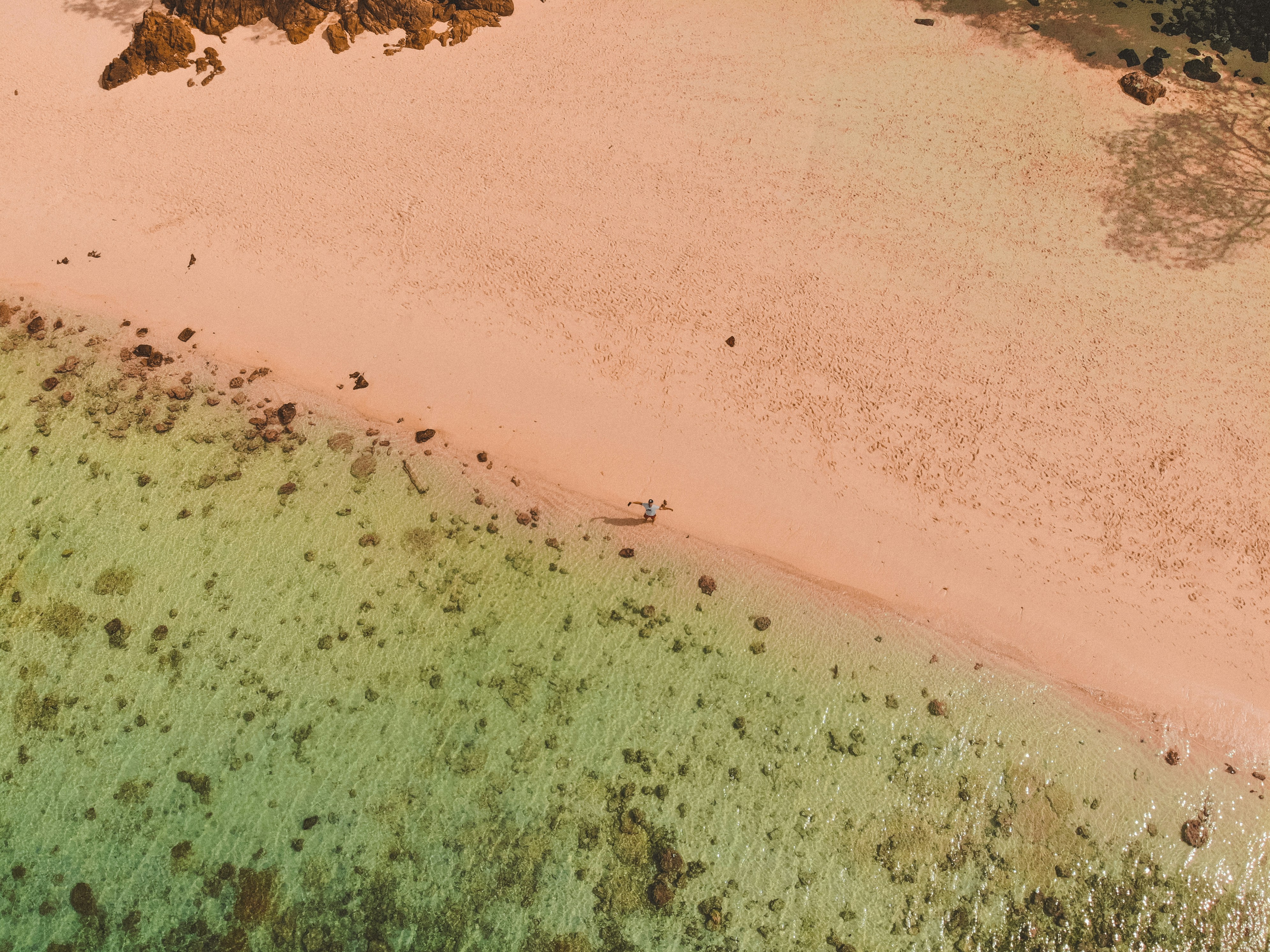 Castaway Pictures | Download Free Images on Unsplash